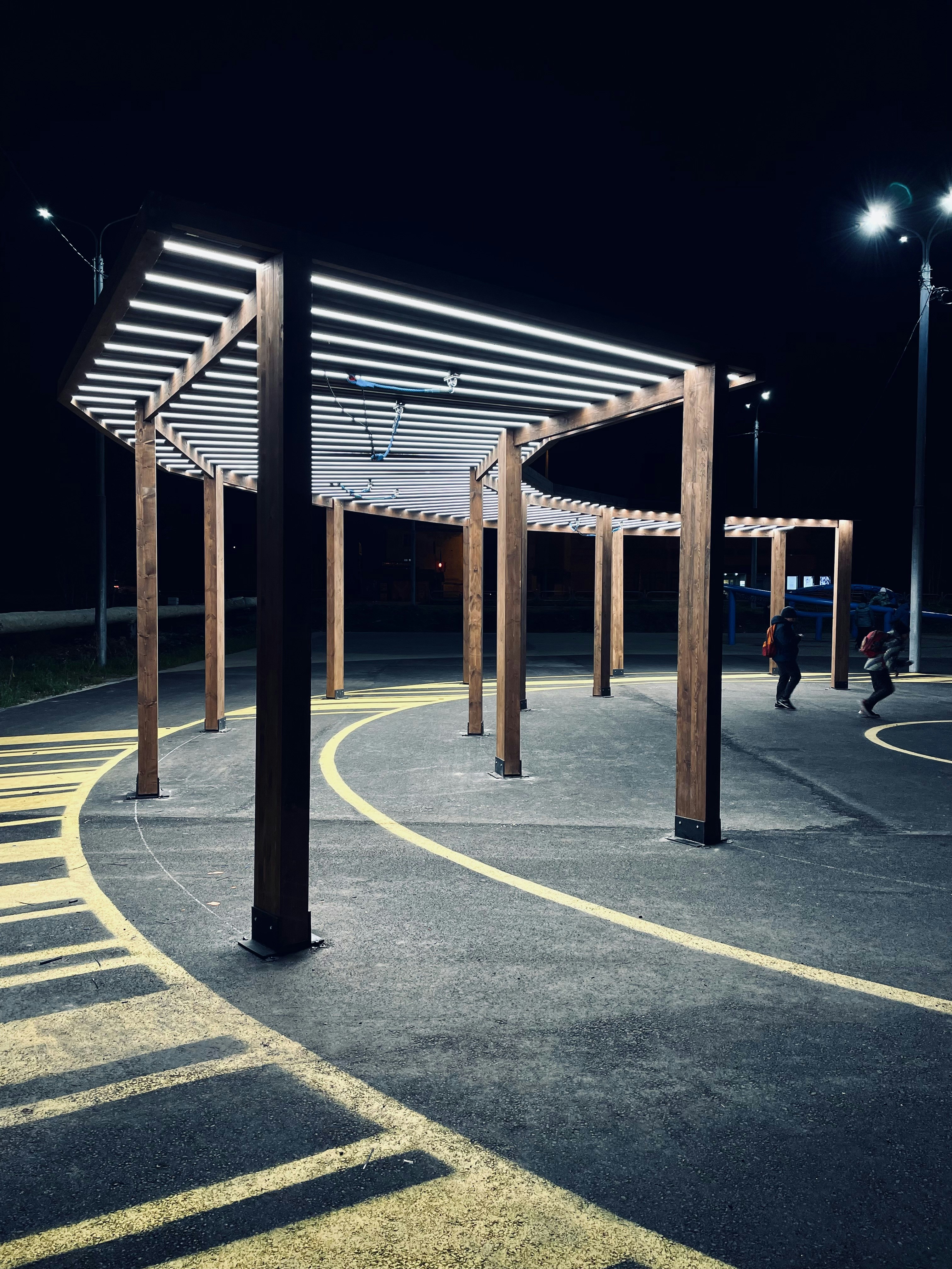 Timber Canopy at Night: A Curved Court's Quiet Geometry