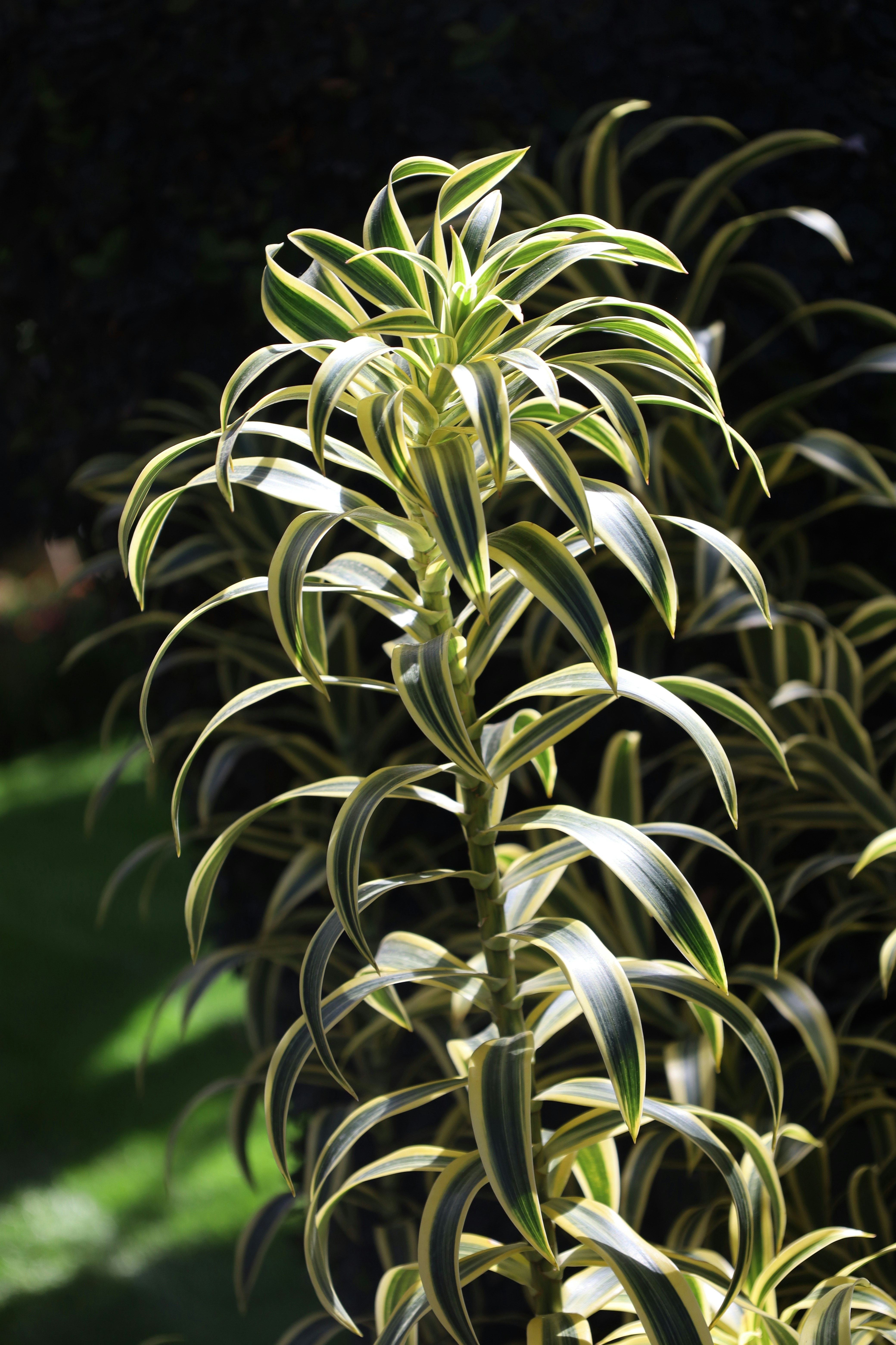 Photo by Jules Smith with Canon EOS RP