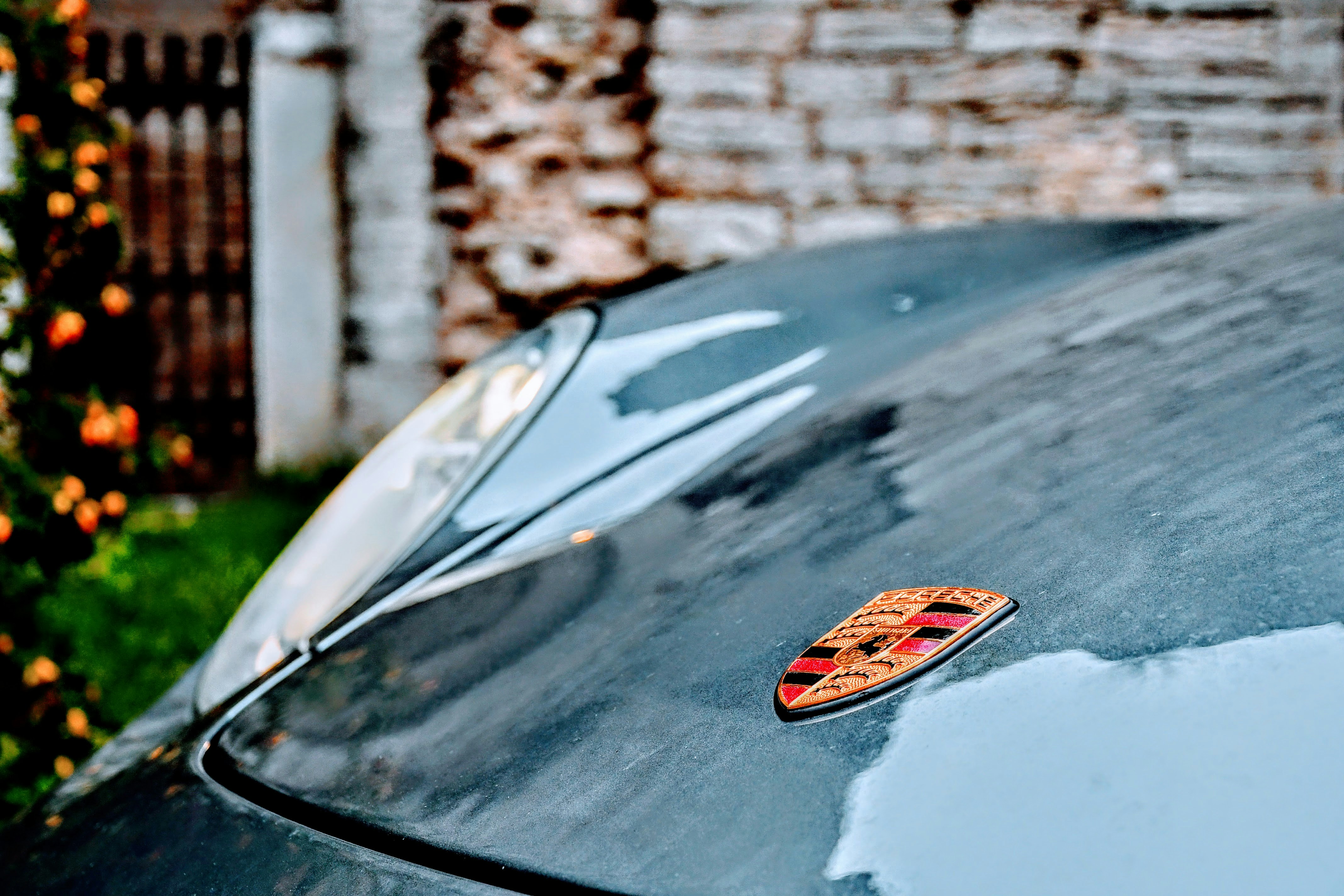 Sleek Reflections on a Classic Curve