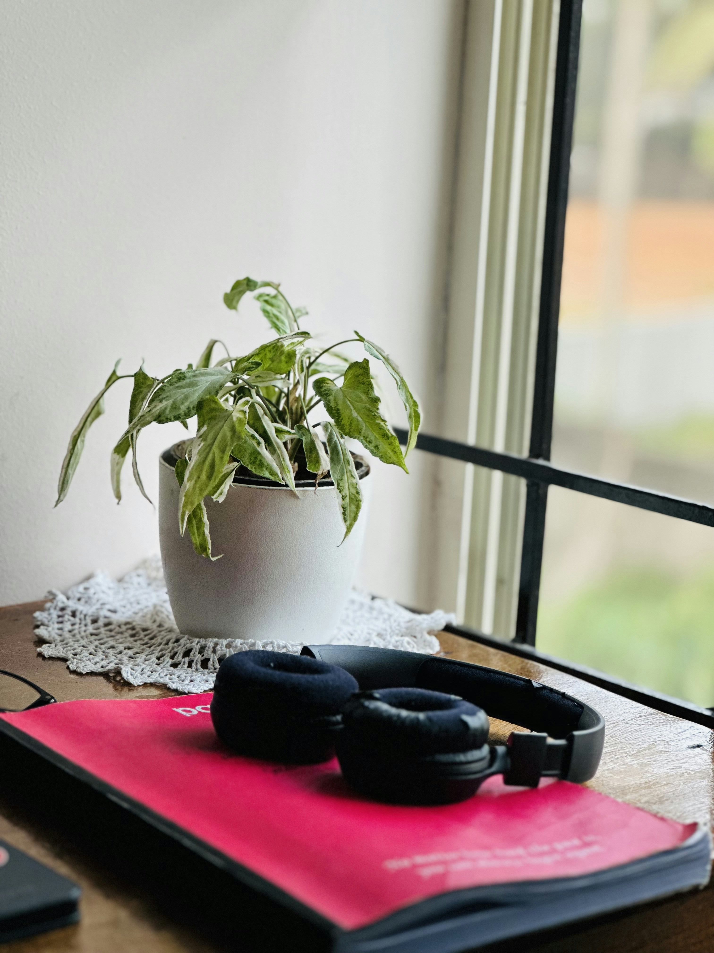 Greenery on the Windowsill: A Quiet Study Scene with Headphones