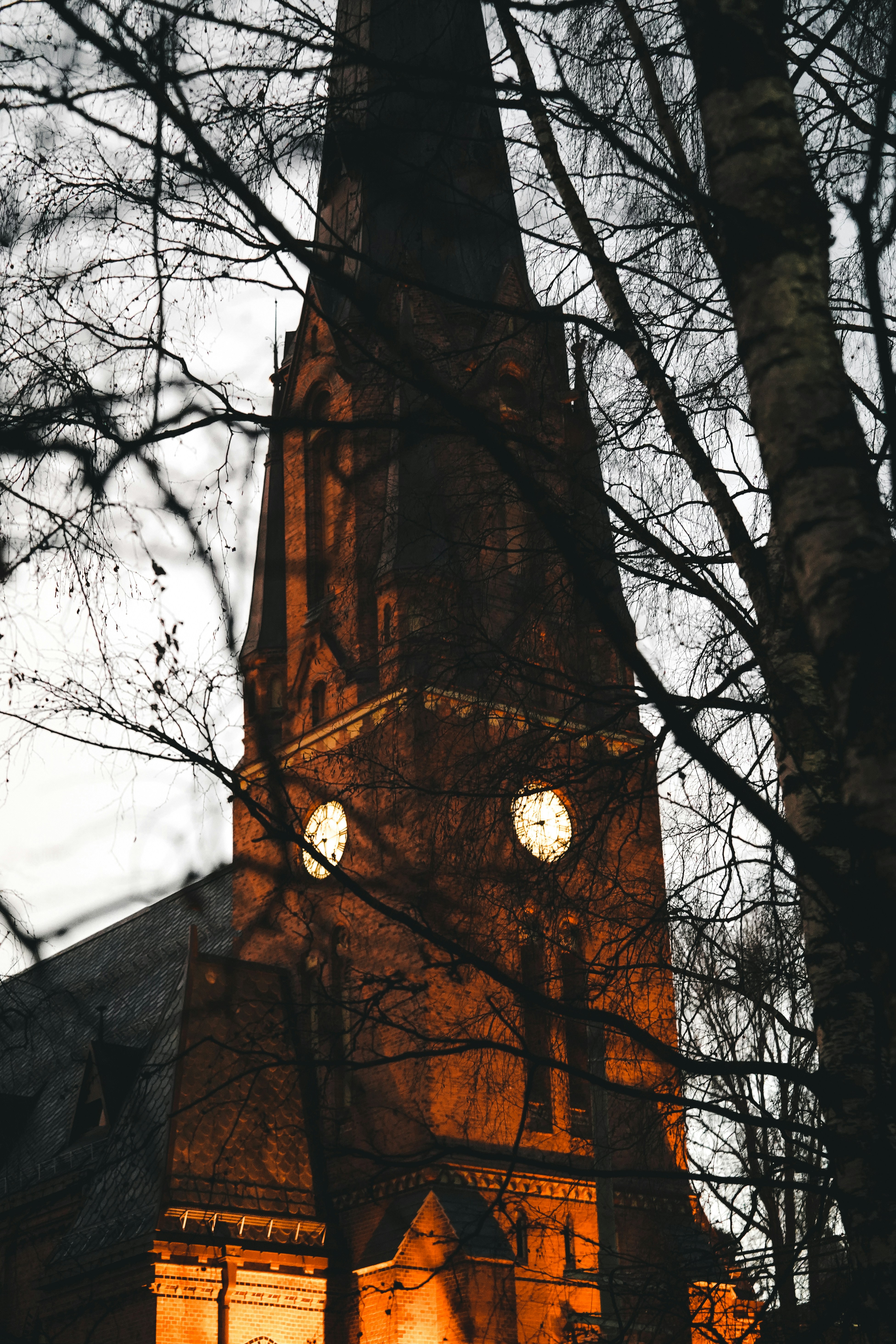 Photo by Kevin Charit with Sony Alpha 7C