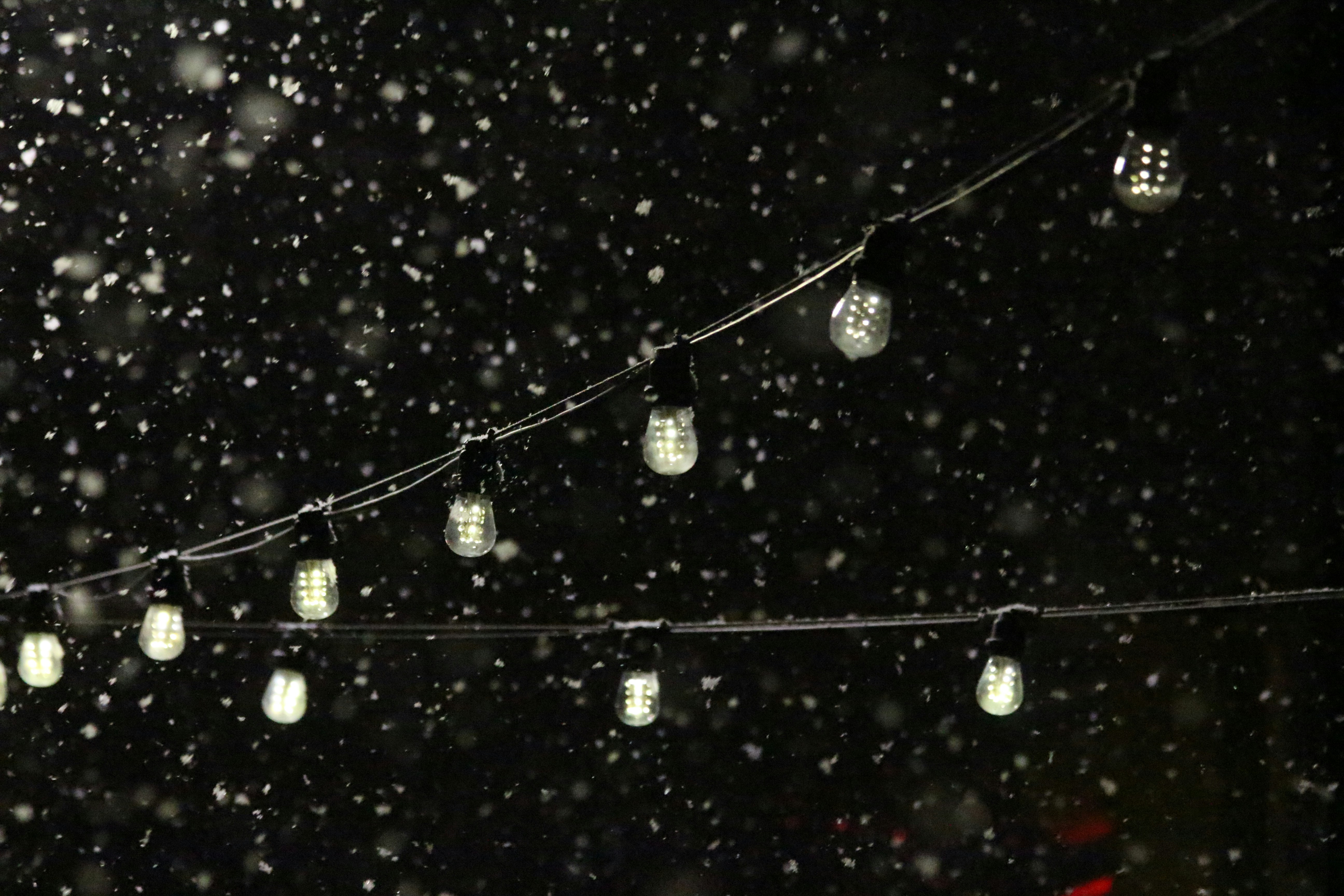 Hanging lights on a snowy night