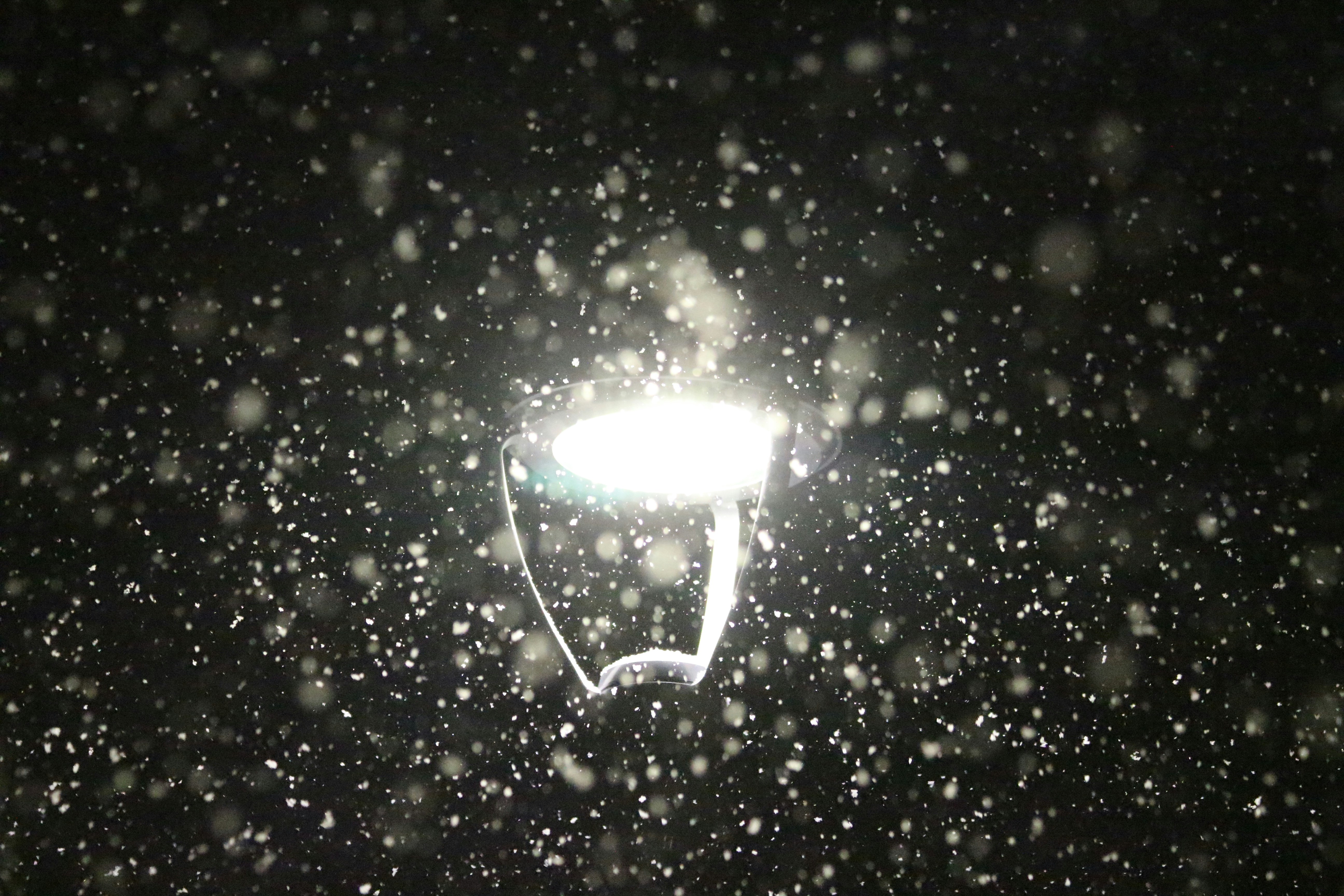Snowy street lamp