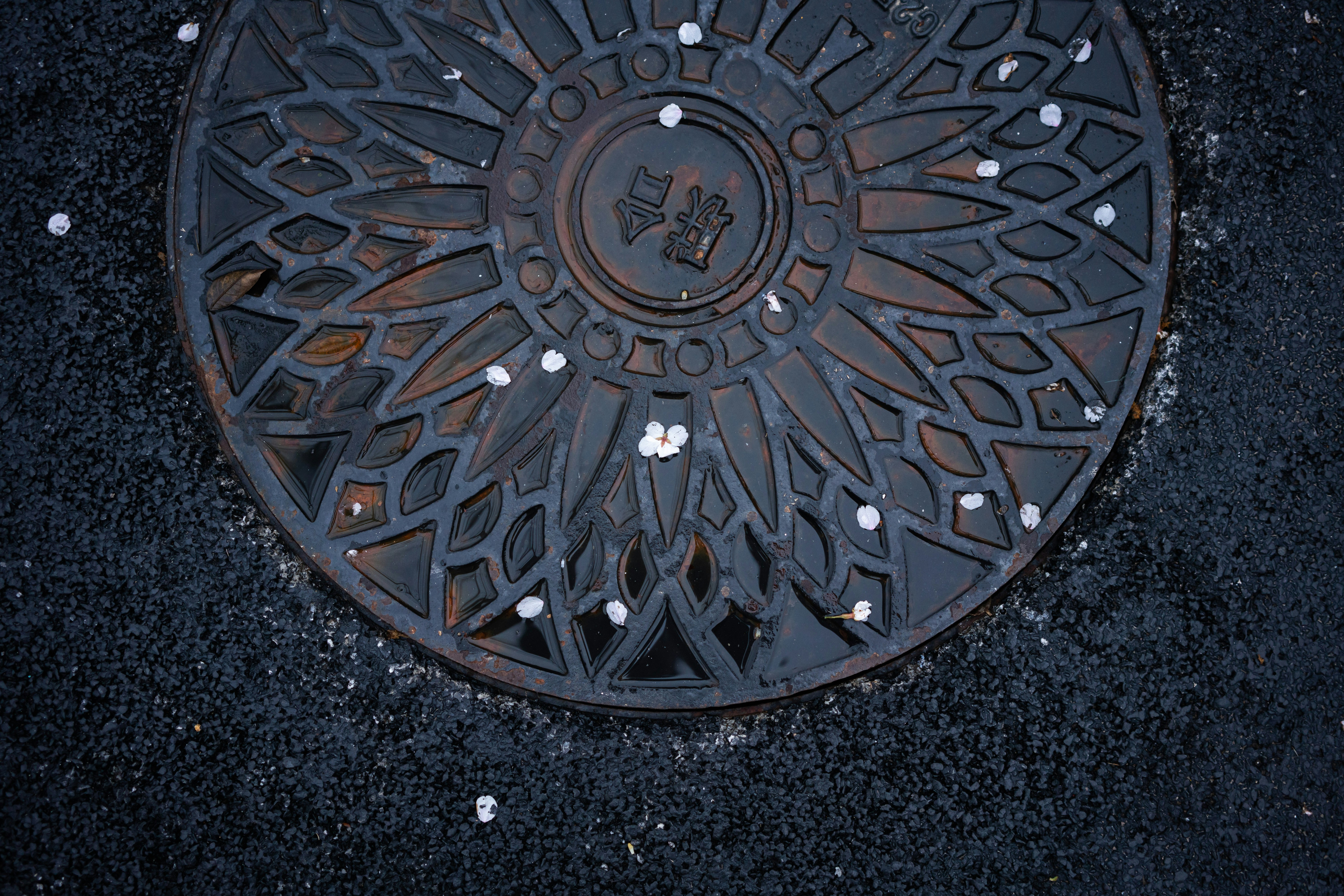 A manhole cover on the ground with flowers on it photo – Free Nature ...