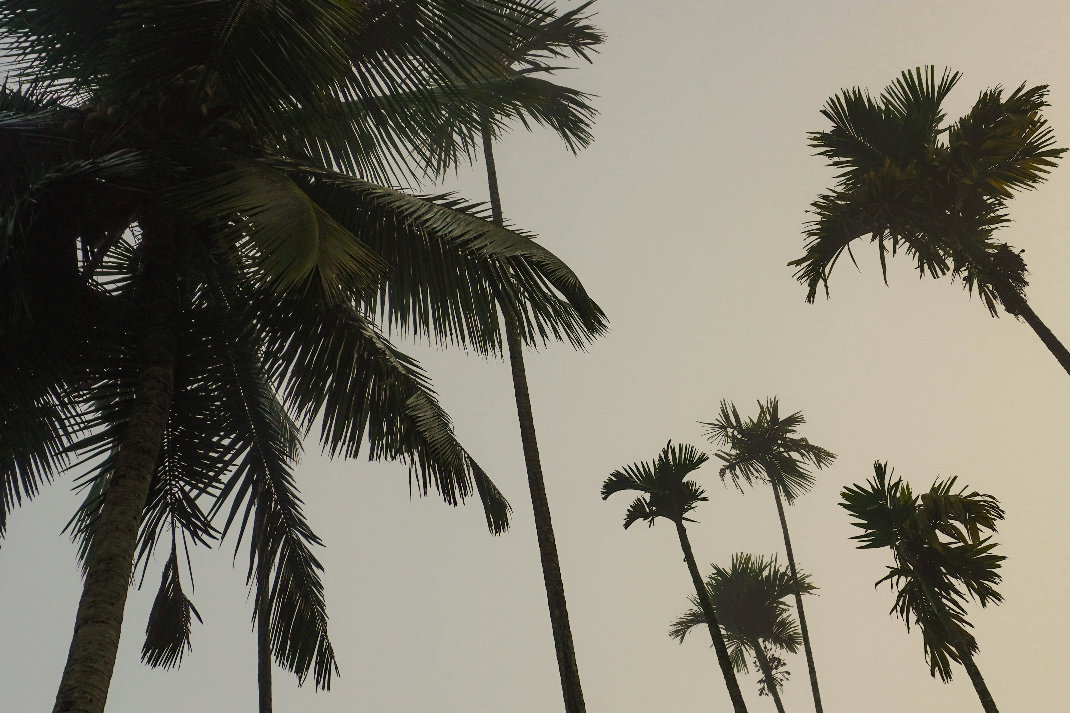 Photo by Hardik Monga with Sony Alpha 6100