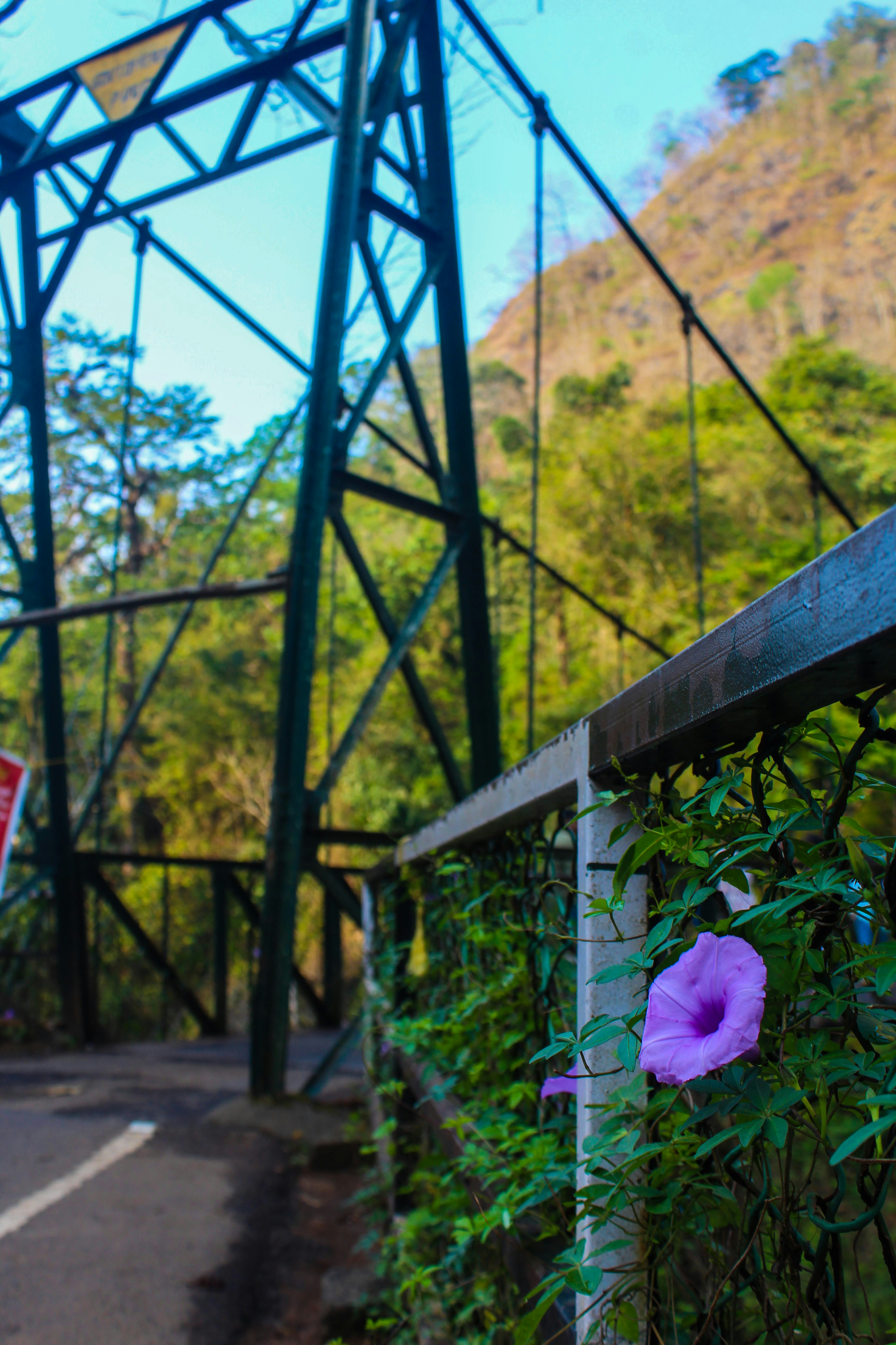 Hanging bridge