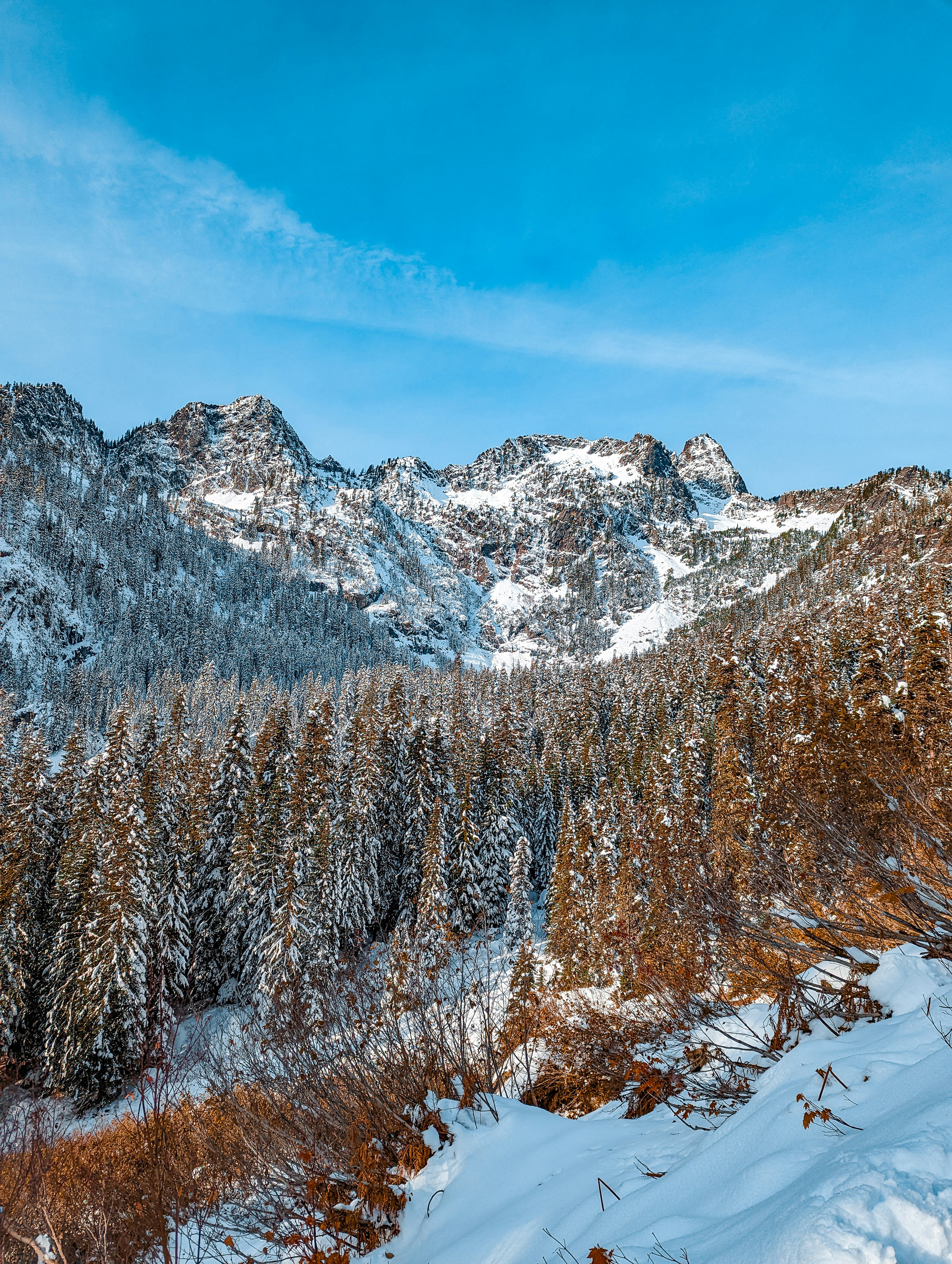 Snow-covered peaks rise majestically above a forest of evergreens, bathed in soft winter sunlight.