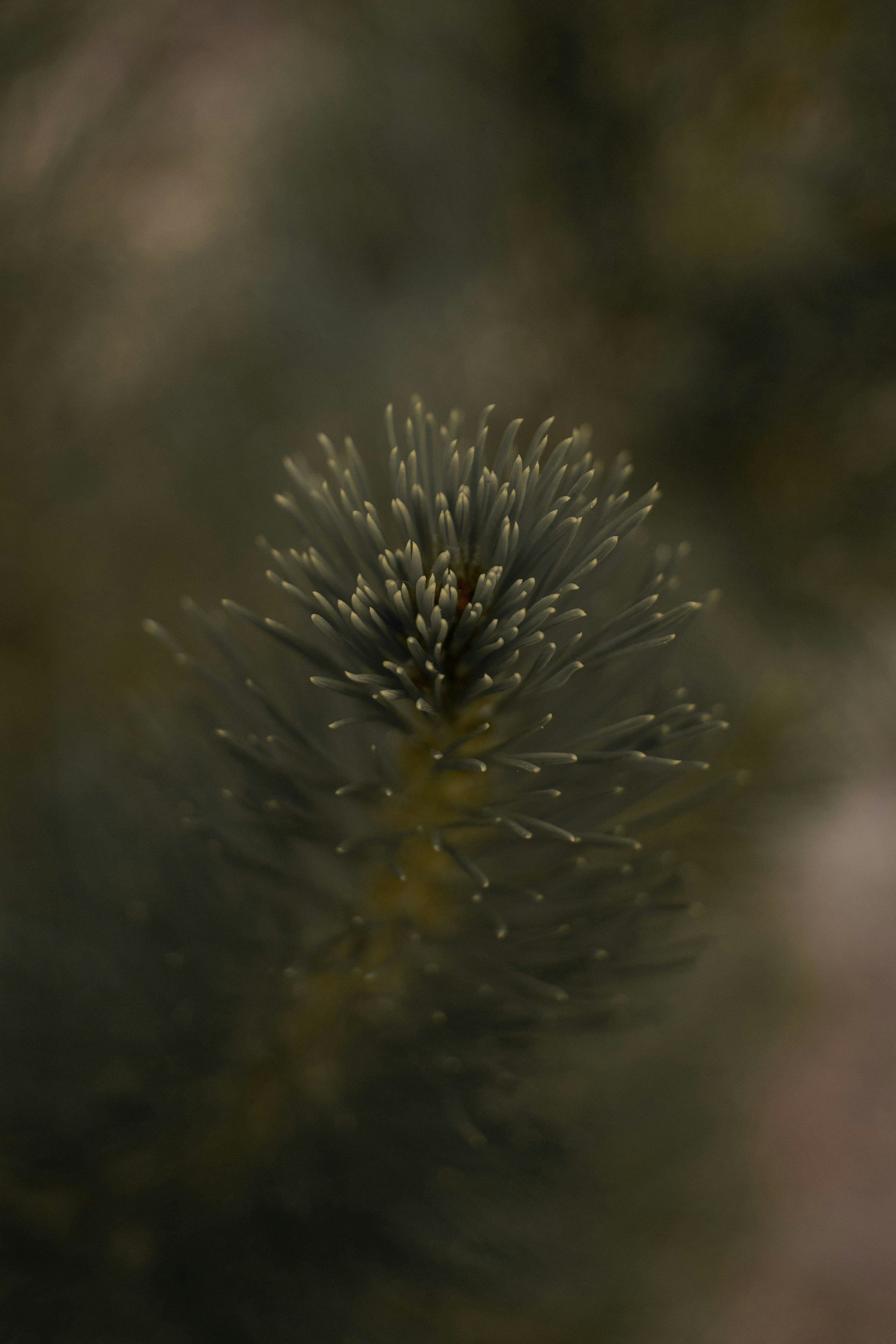 Photo by Ashford Marx with Canon EOS 4000D