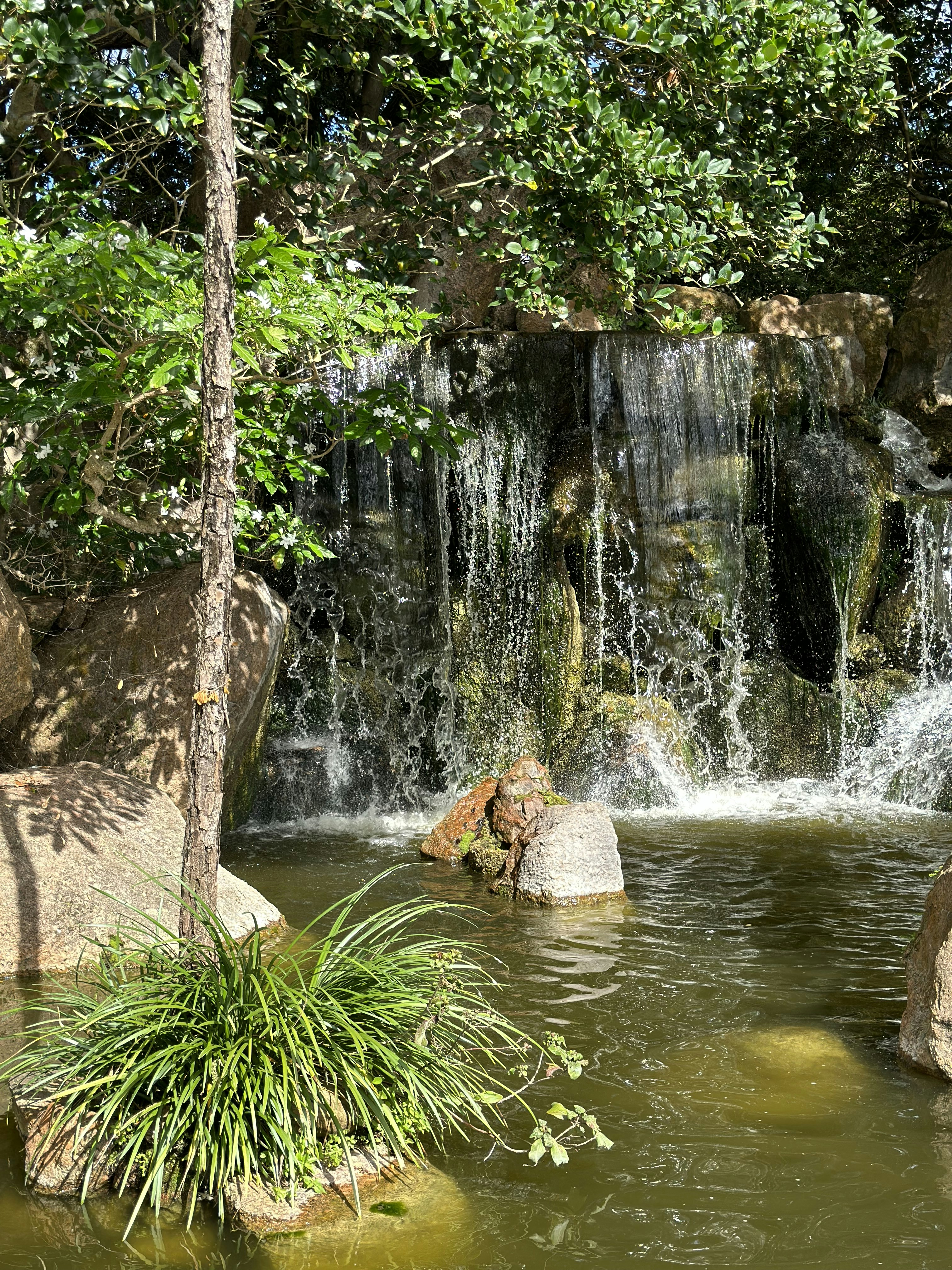 A small waterfall in the middle of a pond photo – Free Image on Unsplash