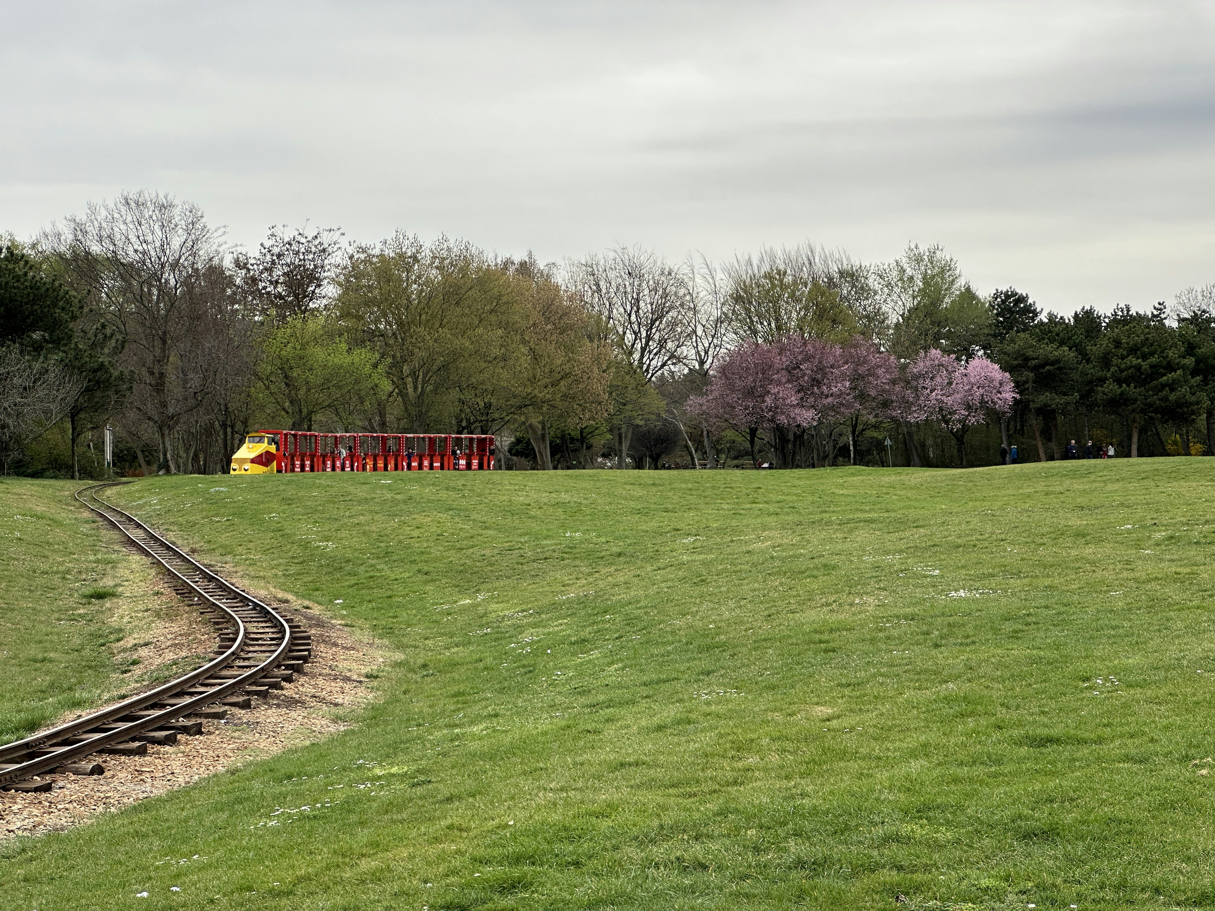 A train track running through a park with trees in the background photo ...
