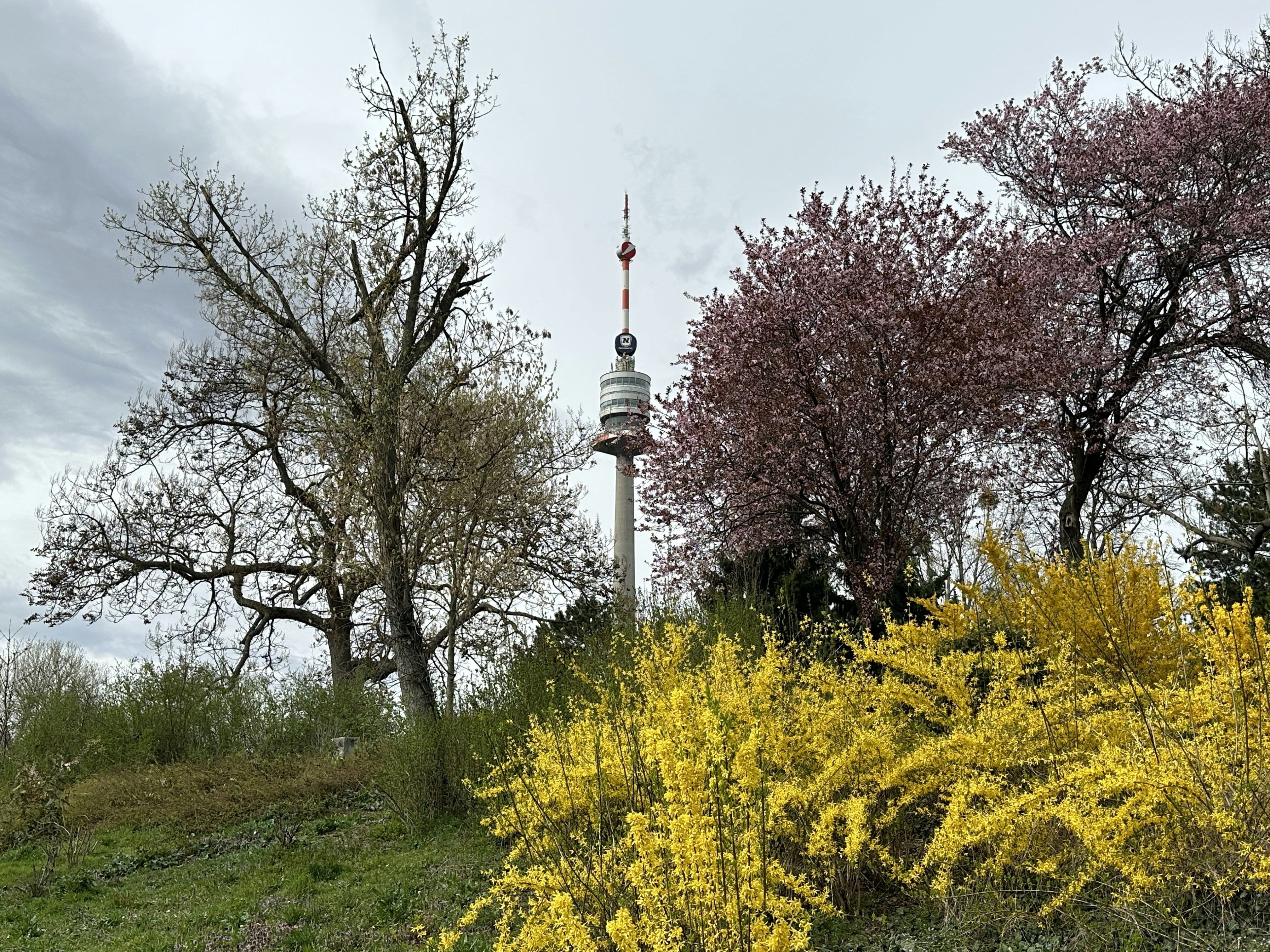 Photo by Andy Wang with Apple iPhone 14 Pro Max