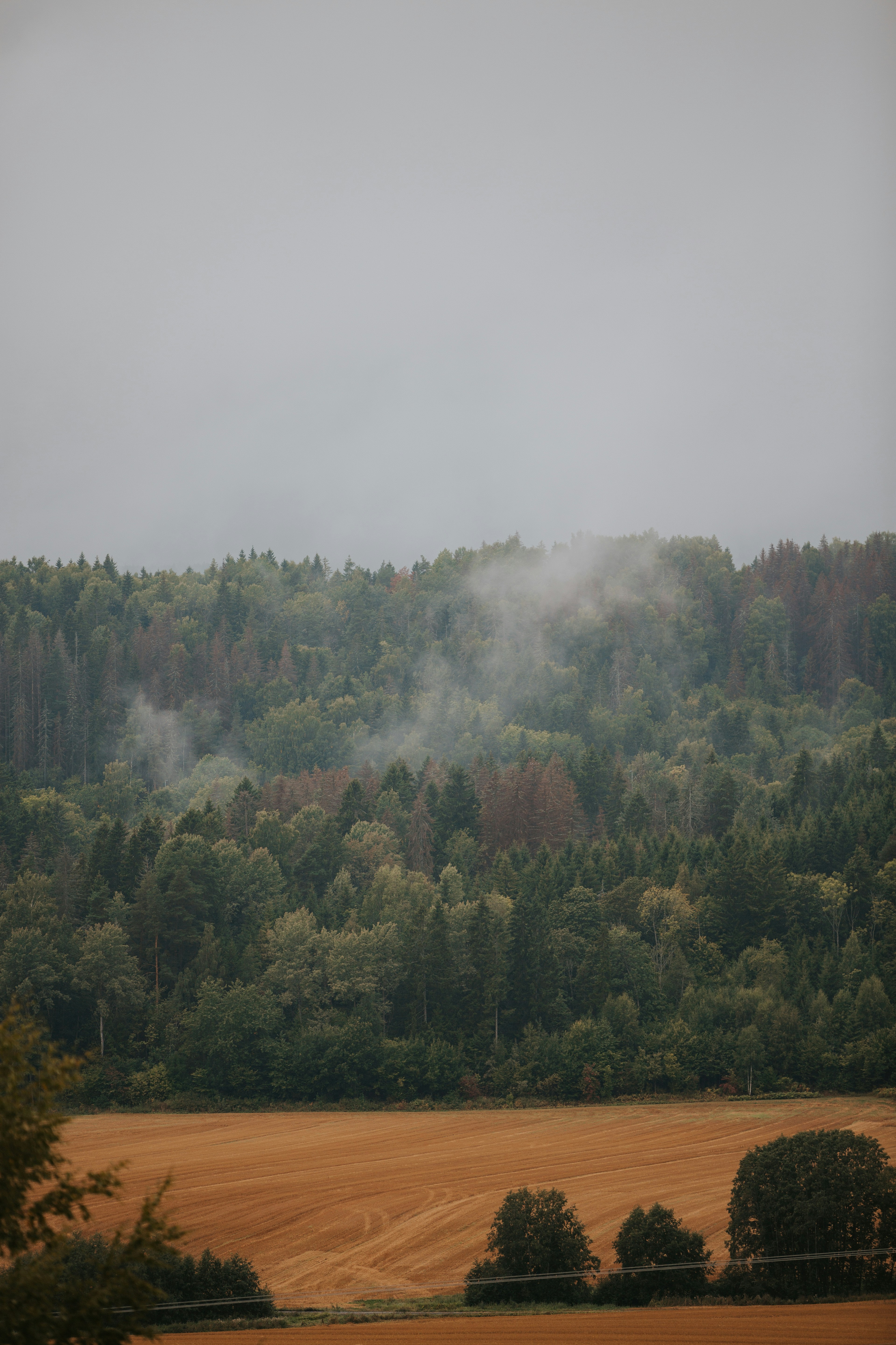 Photo by Mona Bernhardsen with Canon EOS 5D Mark III