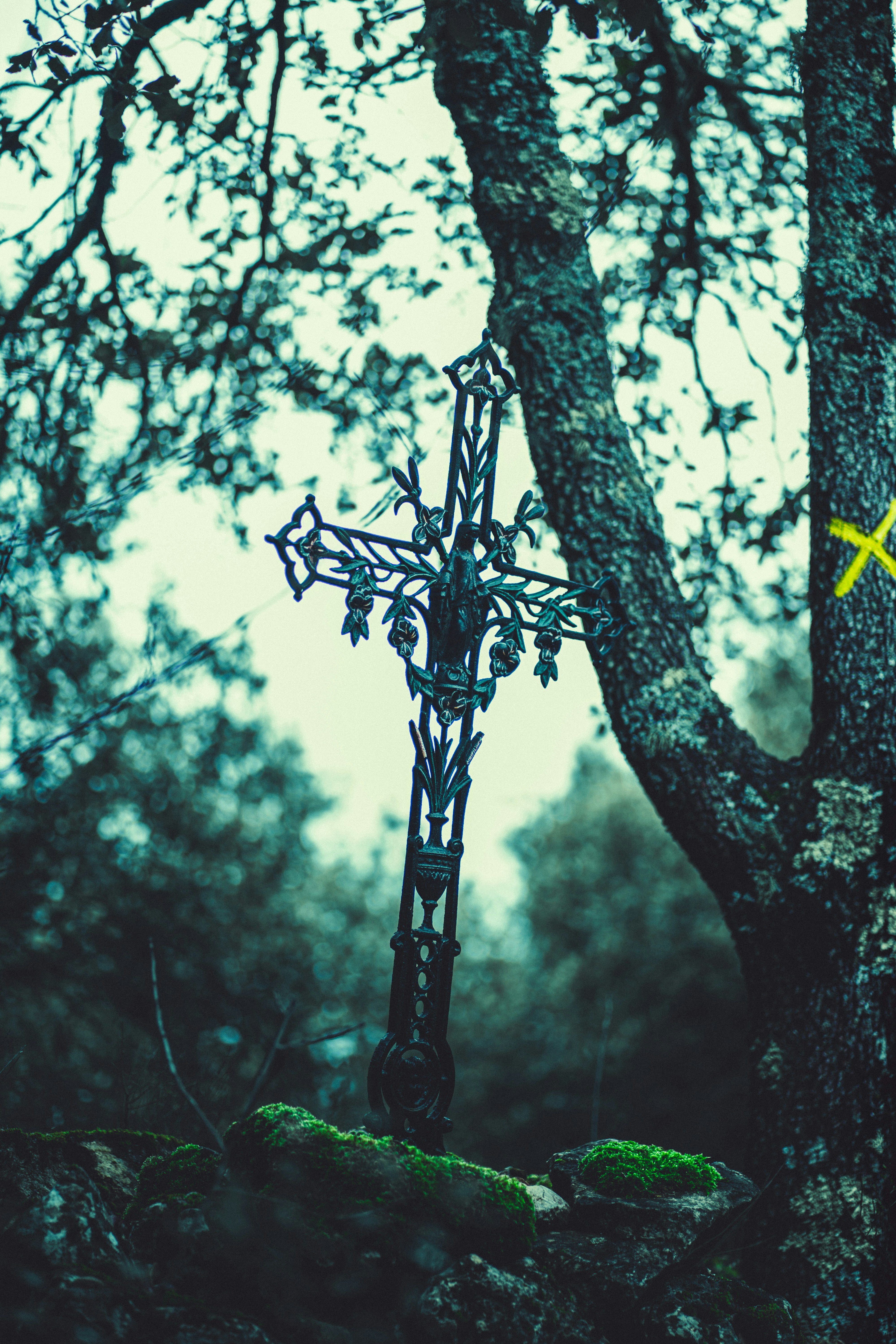Wrought-Iron Cross in a Moss-Cloaked Forest