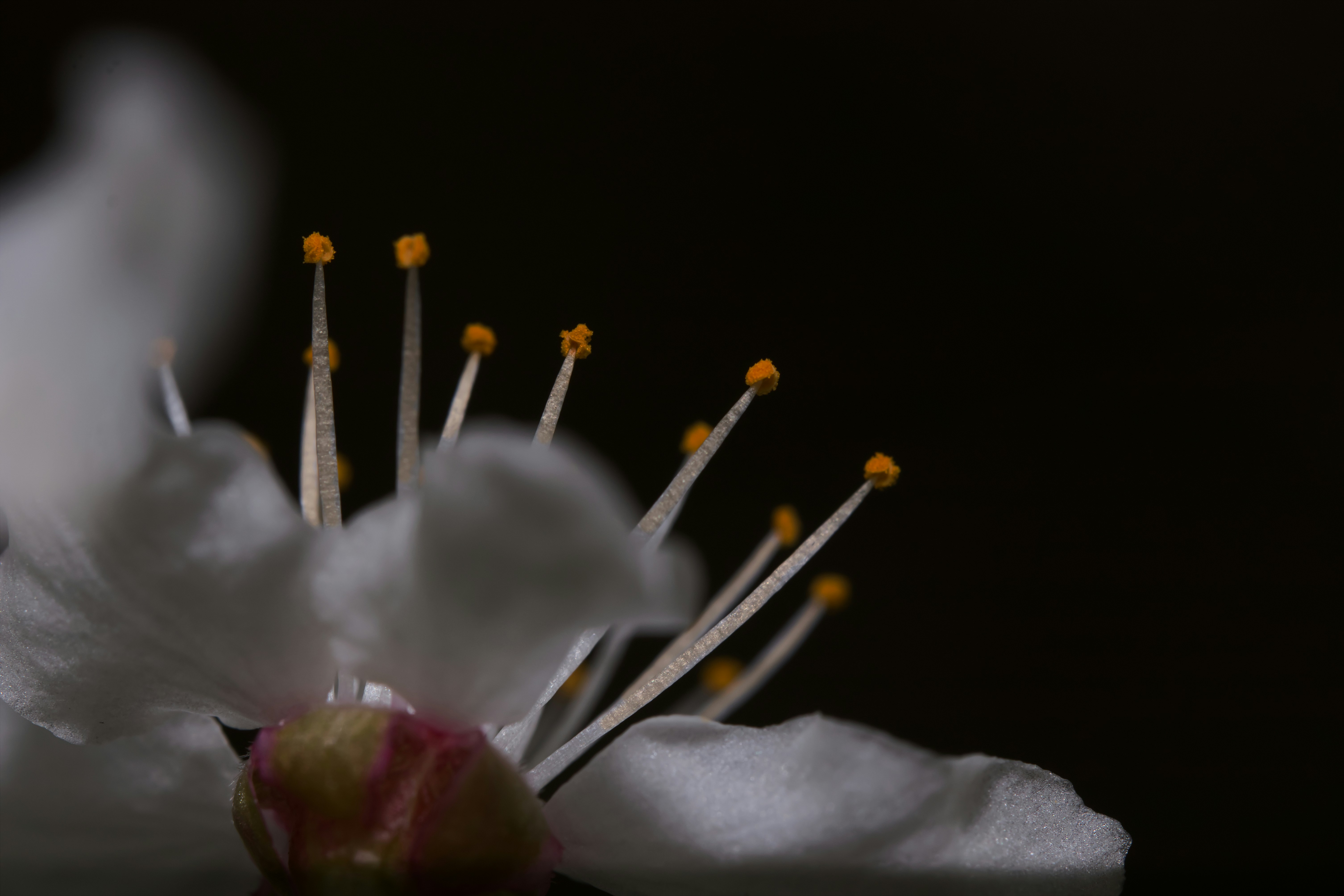 Photo by Ferdinando with Canon EOS 80D