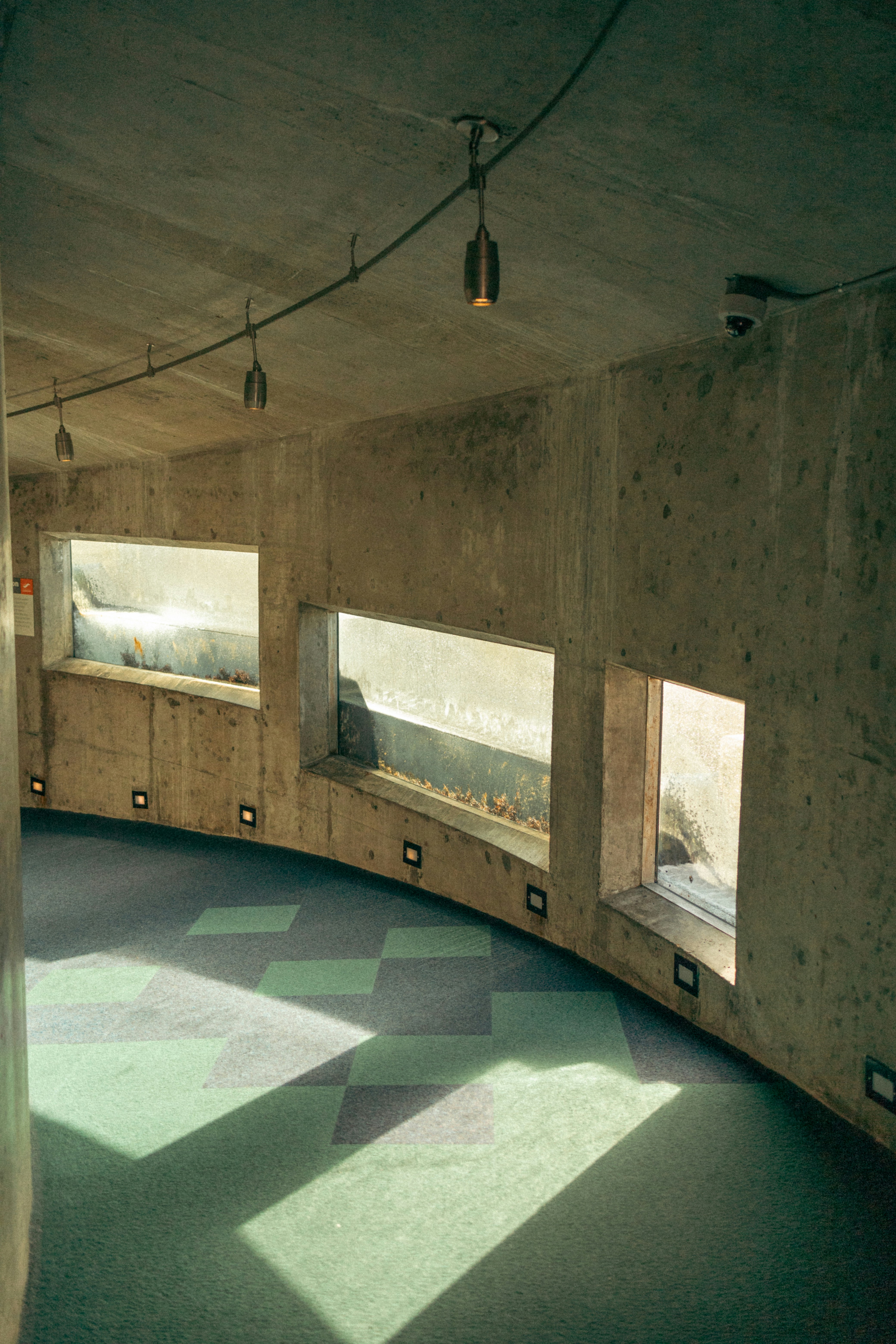 Photo by Hans with Canon EOS RP