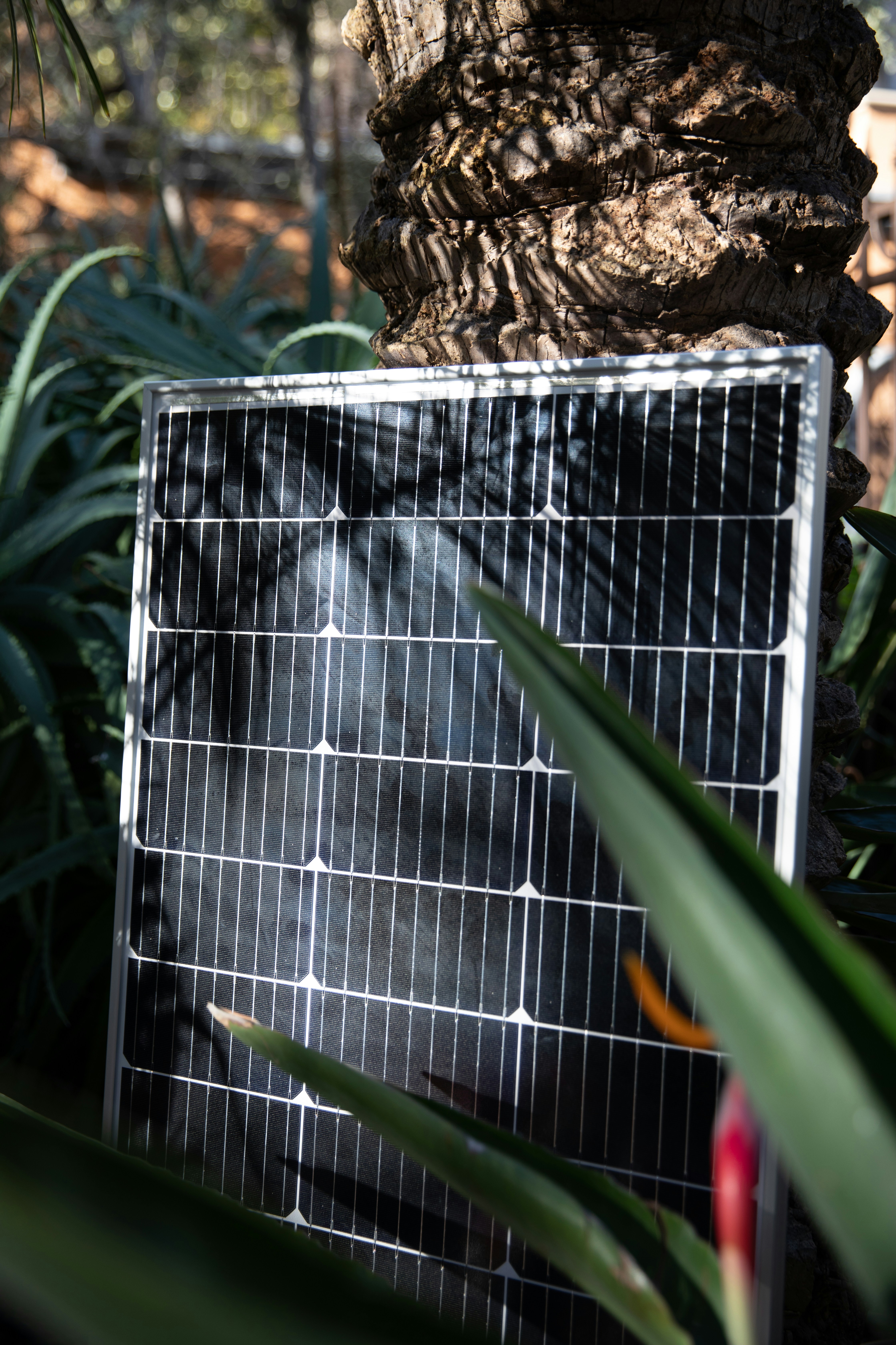 Un panel solar sentado junto a un árbol foto – Imagen de Pizarra ...