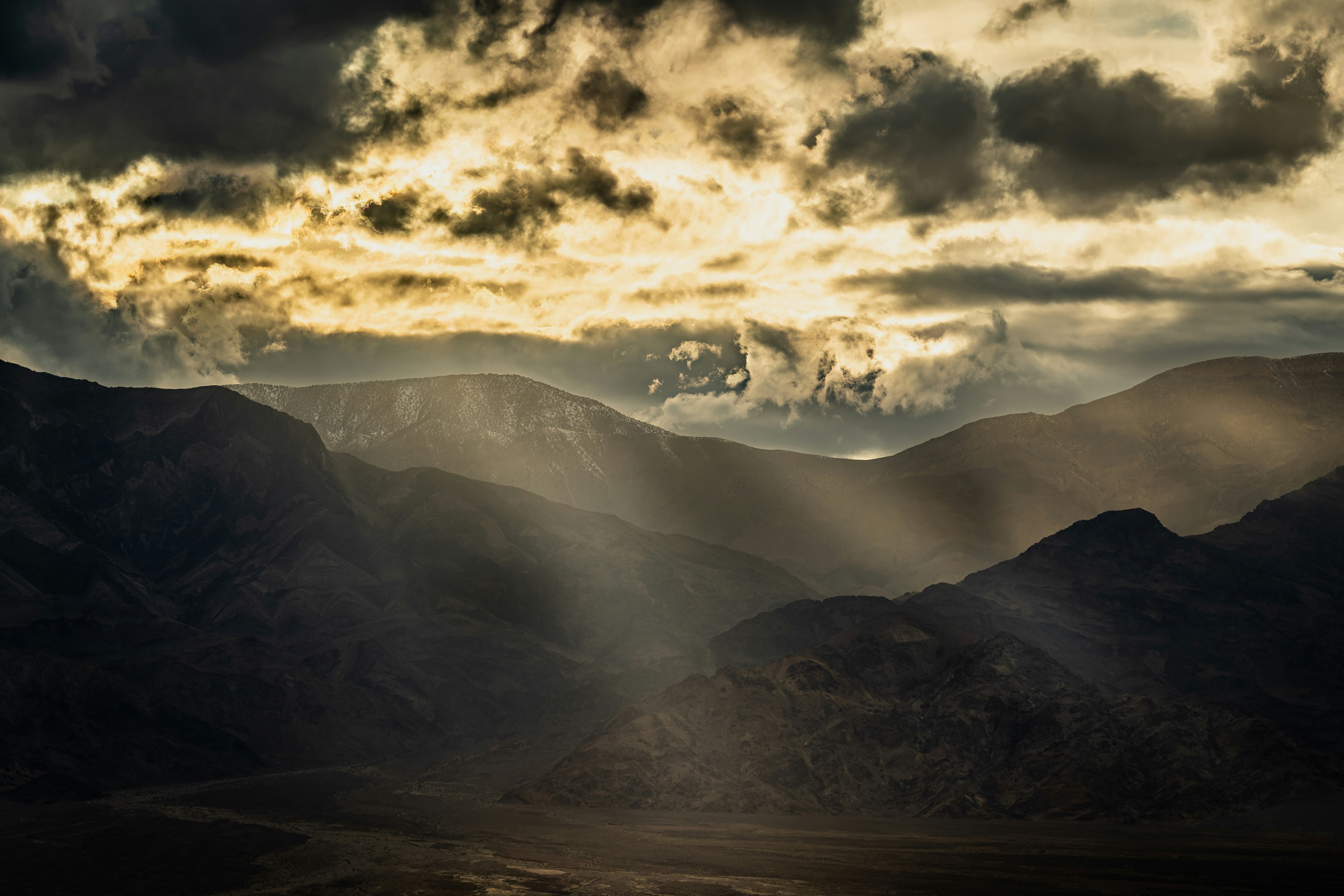 Photo by Venti Views with Sony Alpha 7 IV