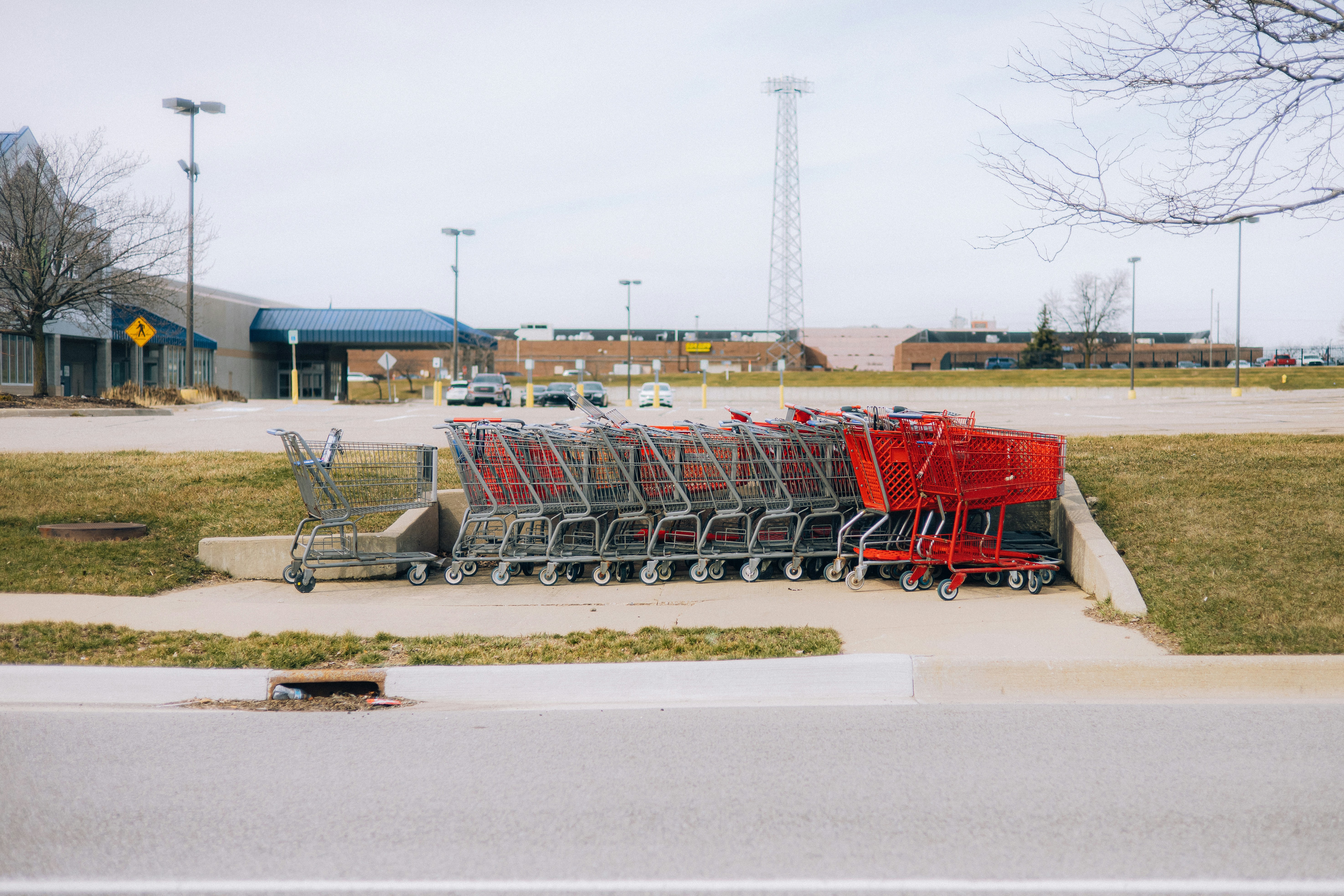 A row of shopping carts sitting on the side of a road photo – Free ...