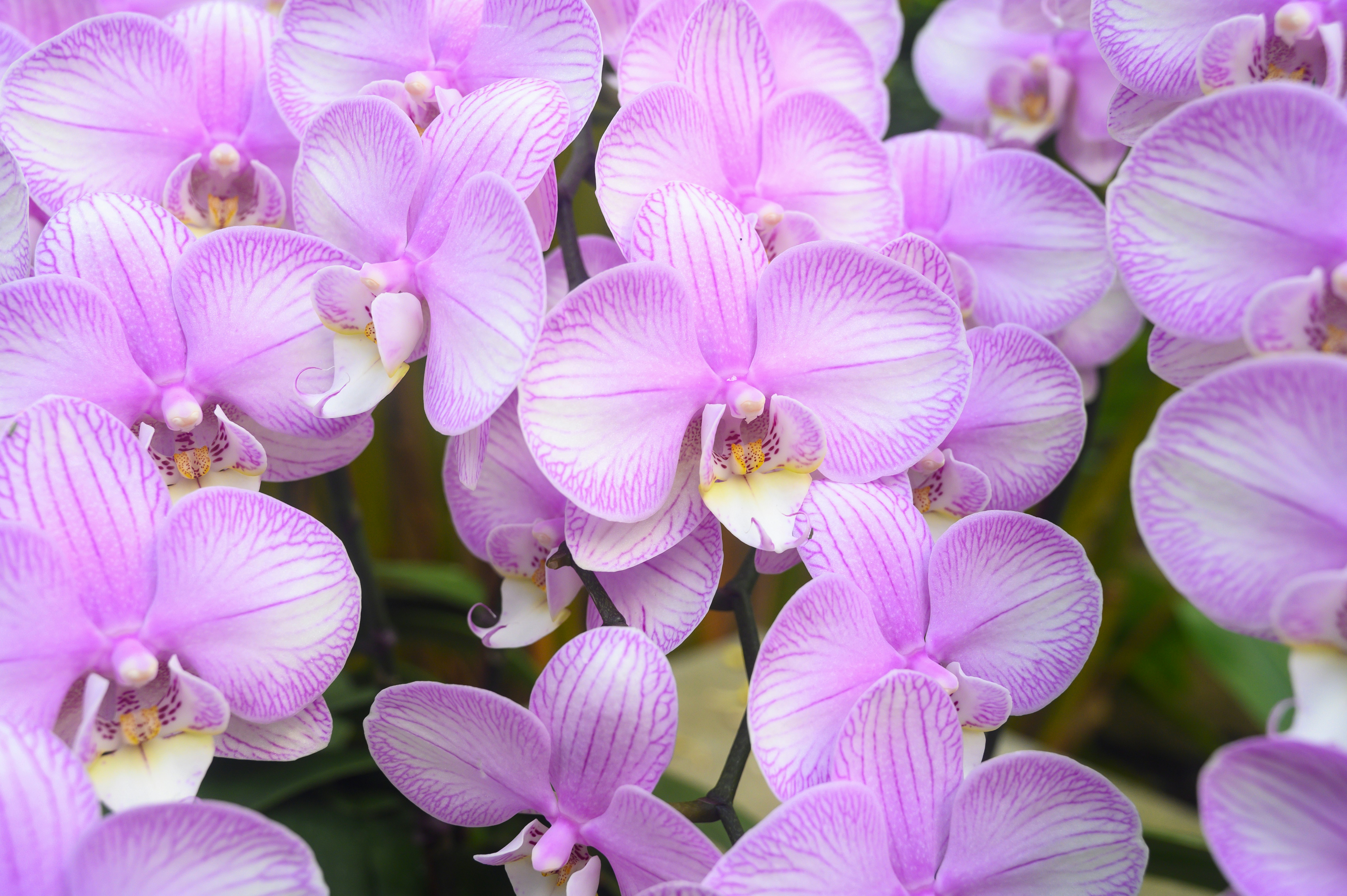 Na visky (@navisky) | Communauté photos Unsplash