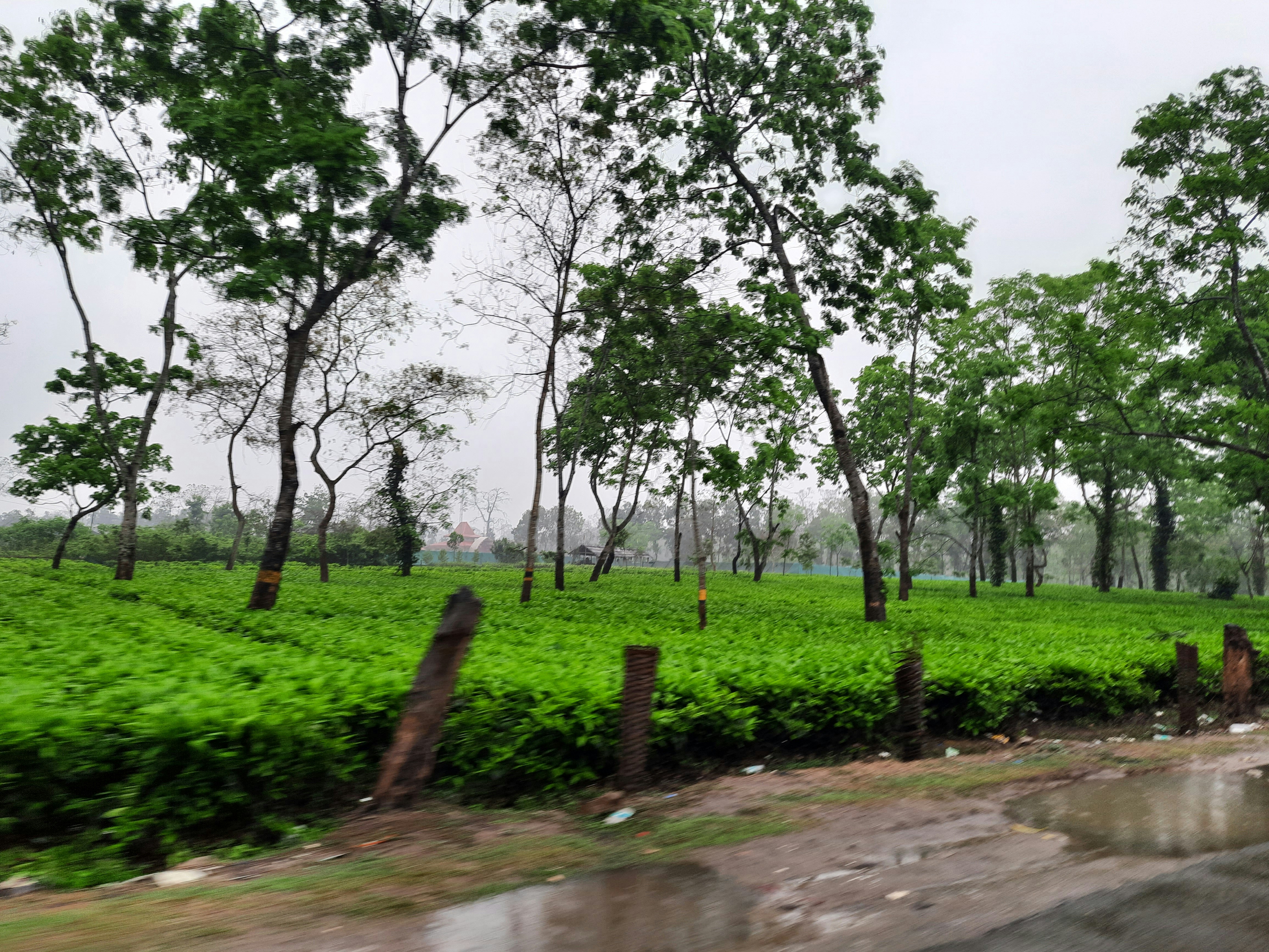 Photo by Adarsh Kumar Singh with Samsung Galaxy M31s