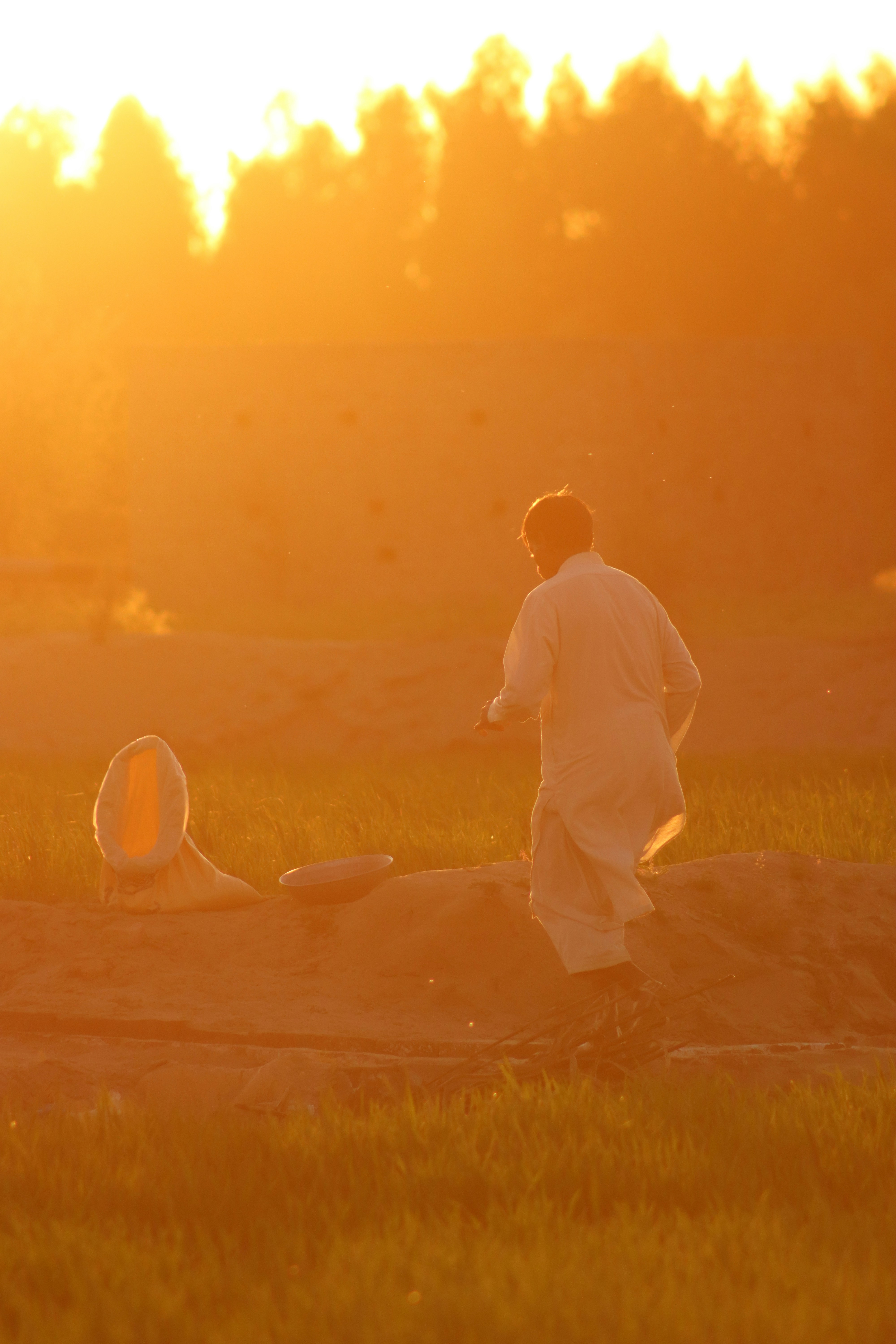 Sunlit Field: Child at the Edge of Dusk