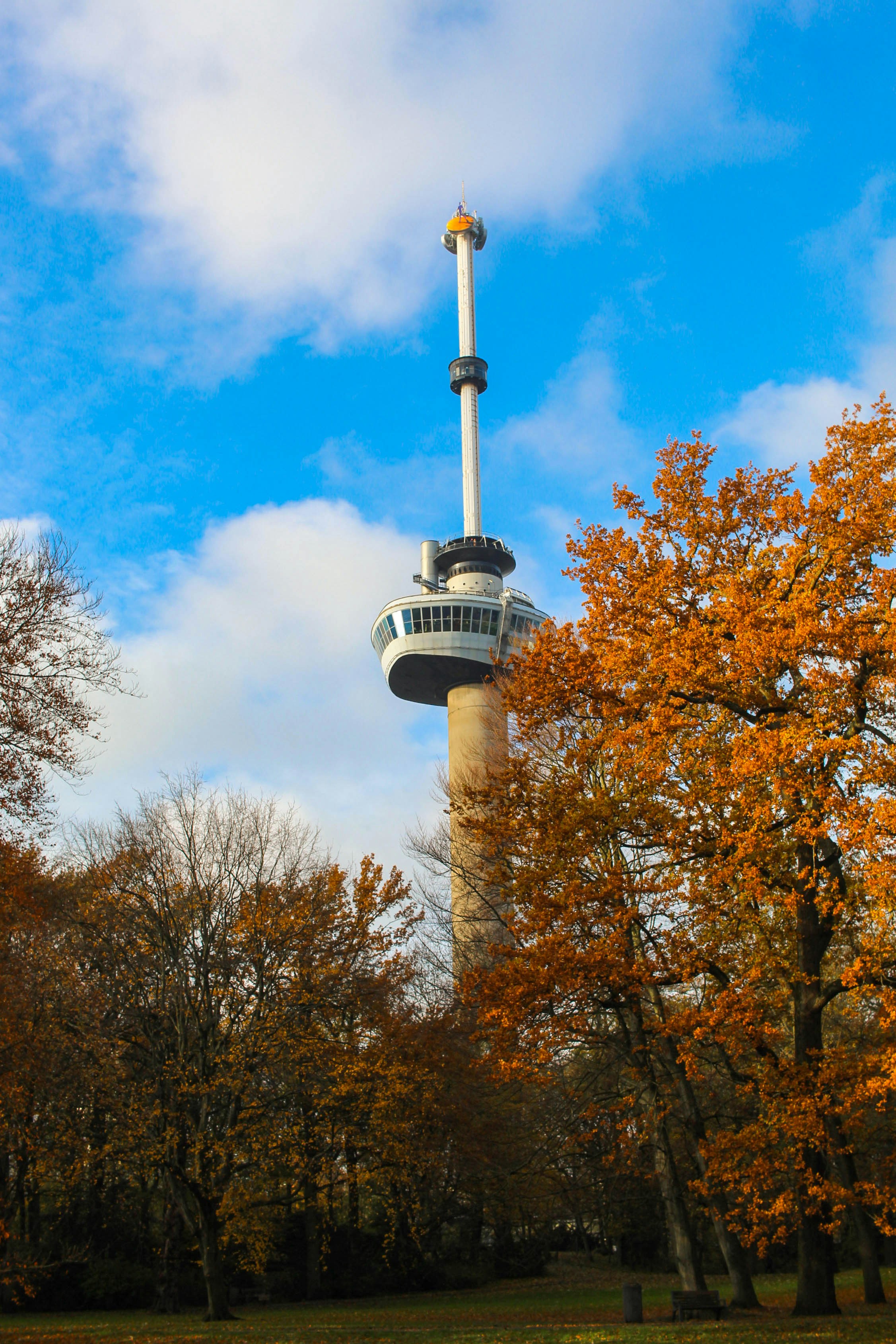 Skyward Spire Framed by Autumn Canopy