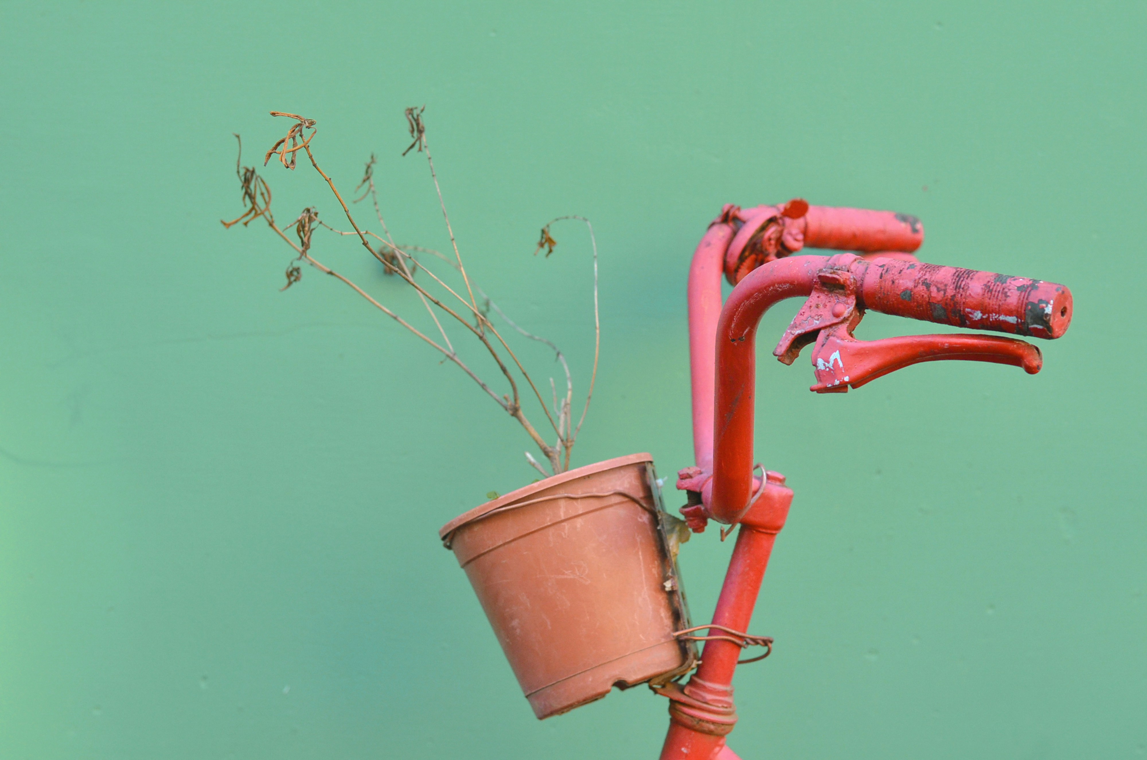 Red bicycle frame with a lone potted plant against a teal wall