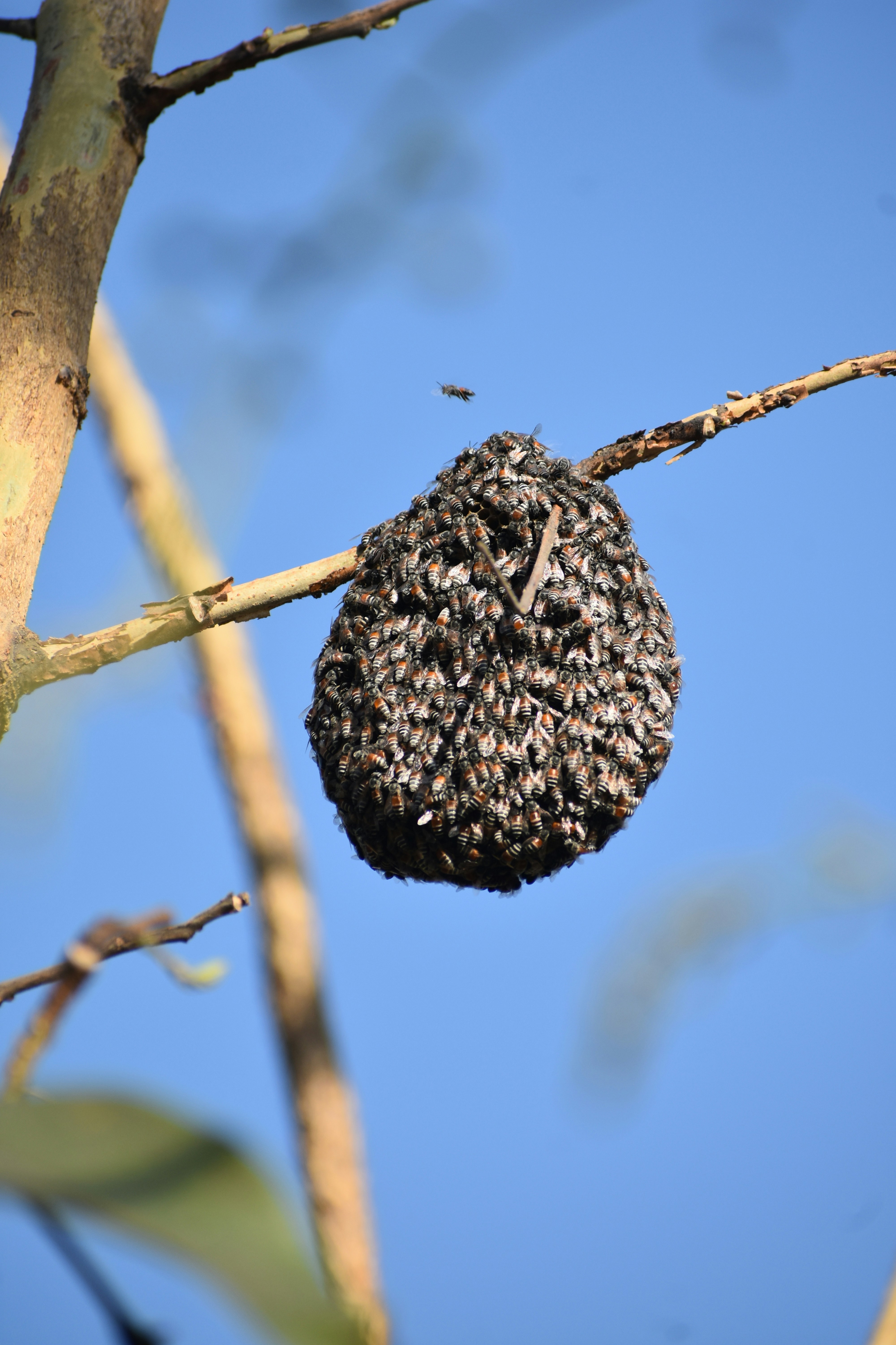 Photo by komal G with Nikon D3400