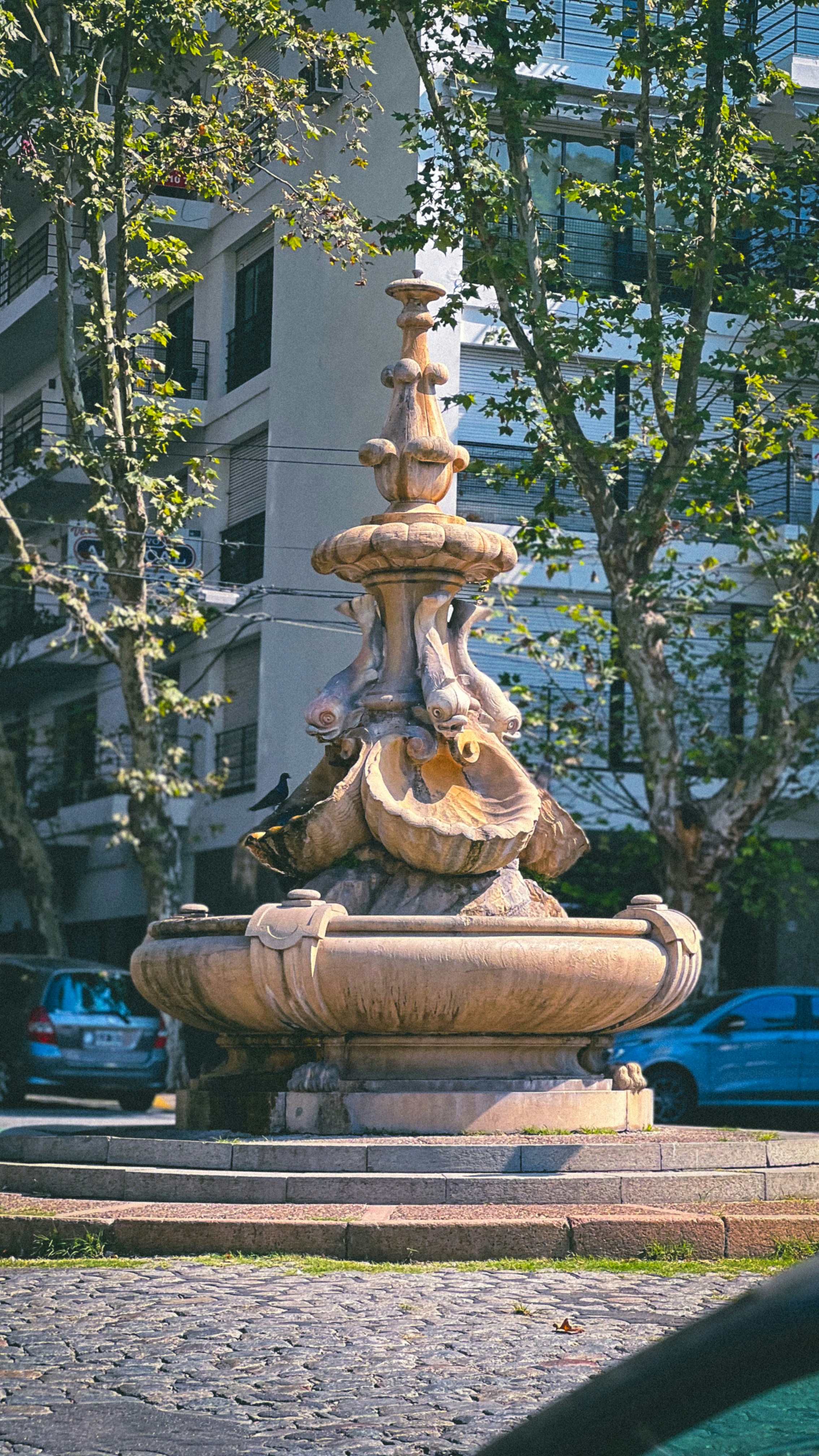 Photo by Camila Lopez with Apple iPhone 13 Pro Max