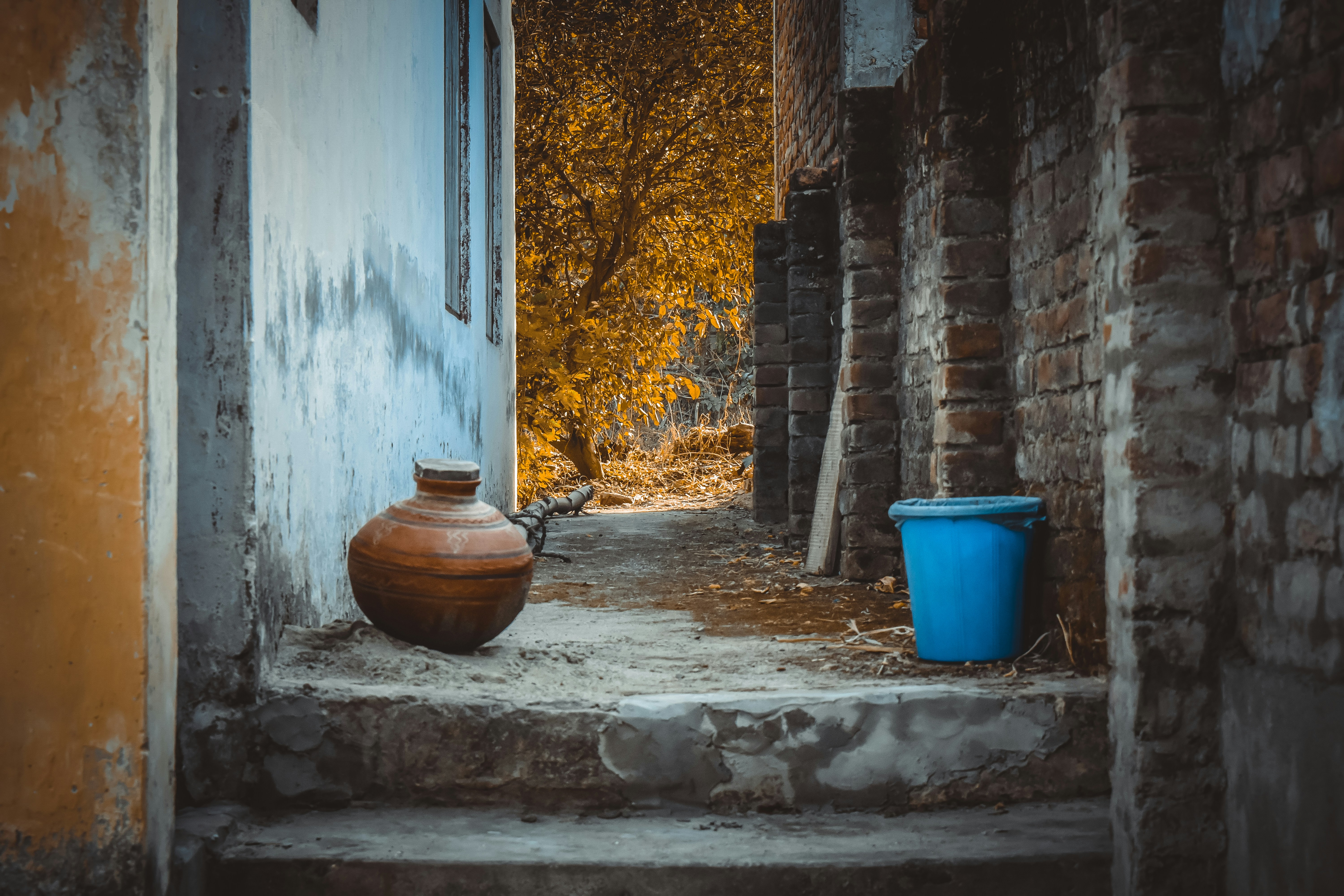 Autumn Light at the Alley's End: Pots, a Blue Barrel, and Sunlit Leaves