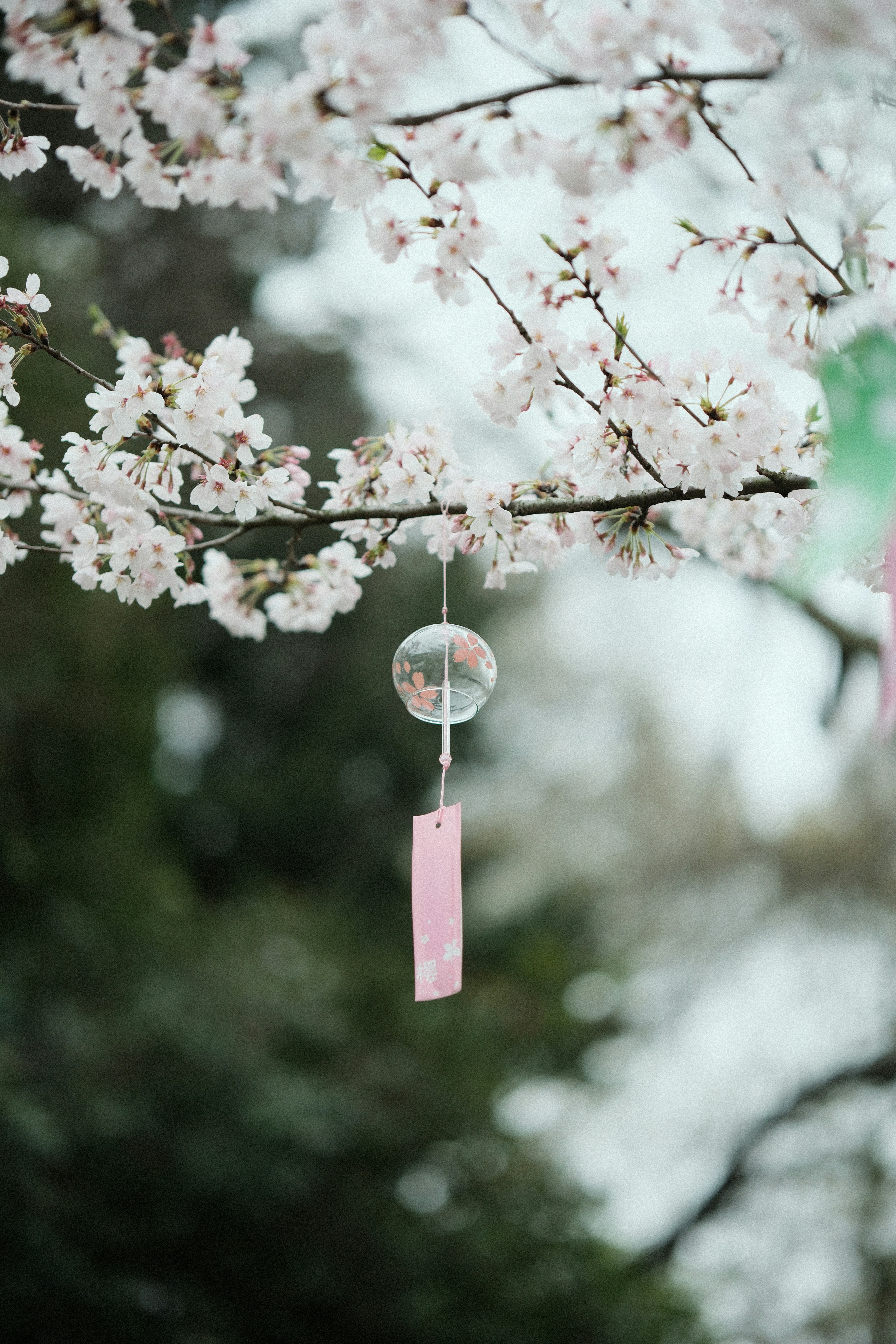 Photo by Merci L with Fujifilm X-H2