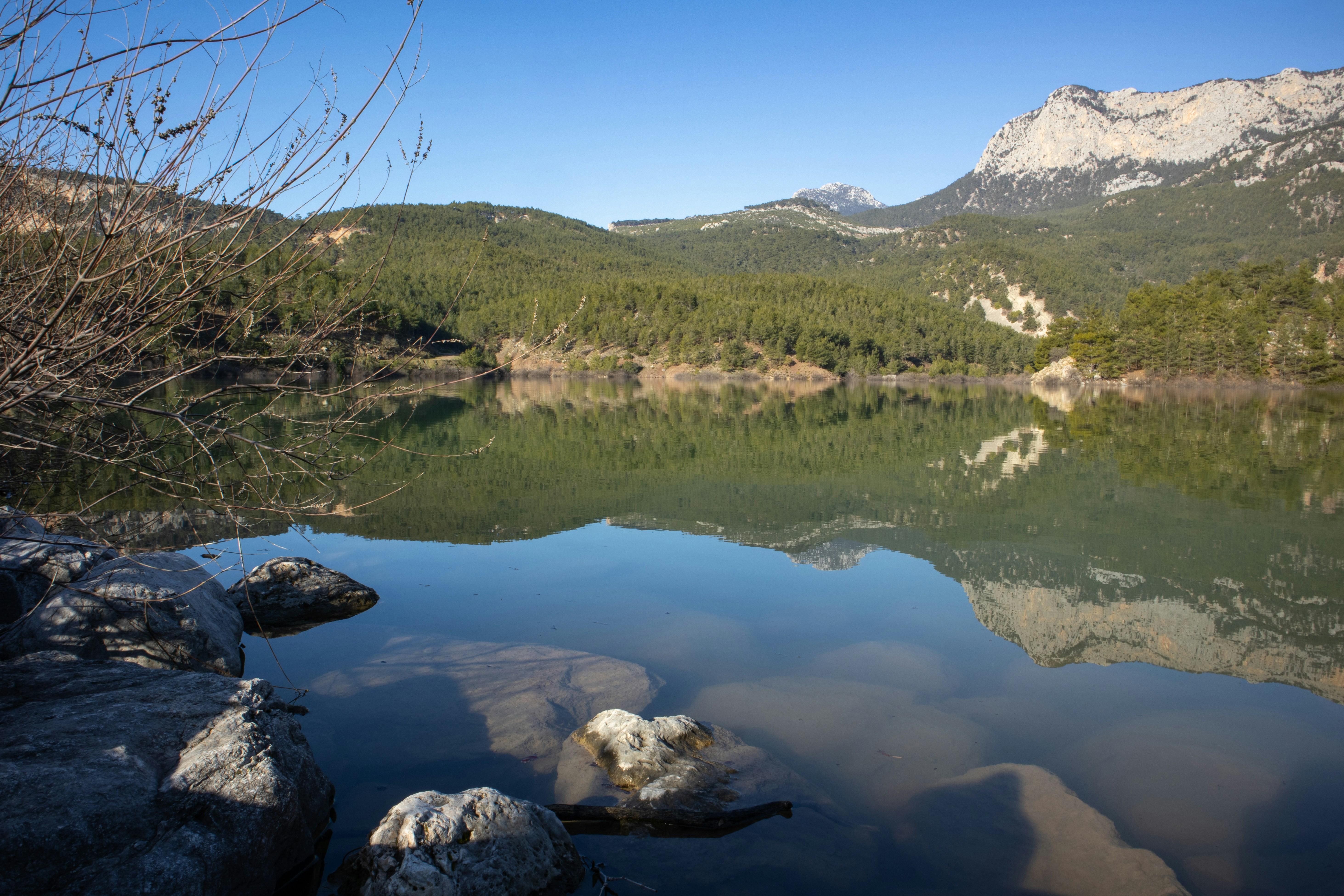 Glacial Glass: Alpine Lake Reflects Pine and Peak