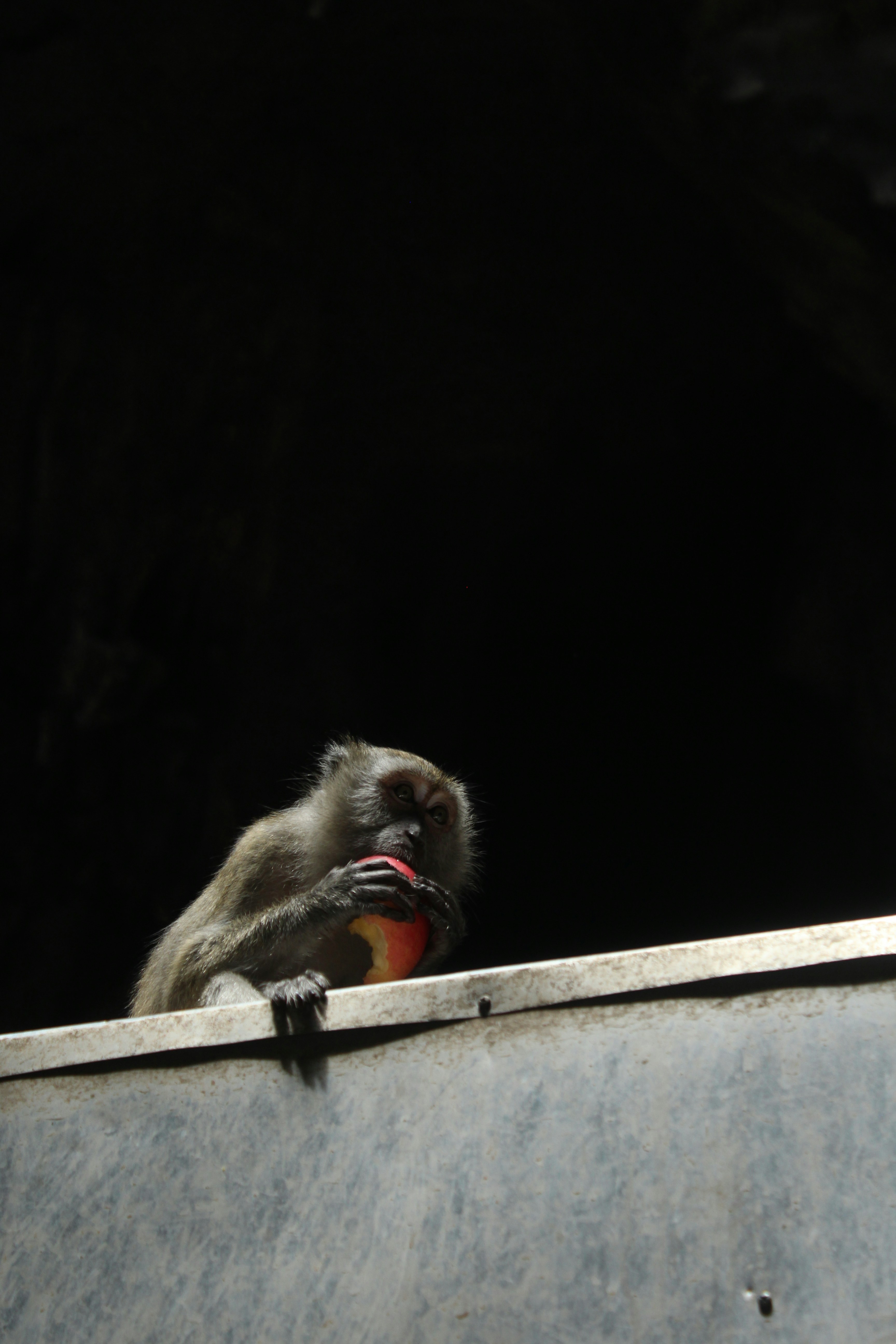 Photo by RESHNI VIJAYA with Canon EOS 1200D