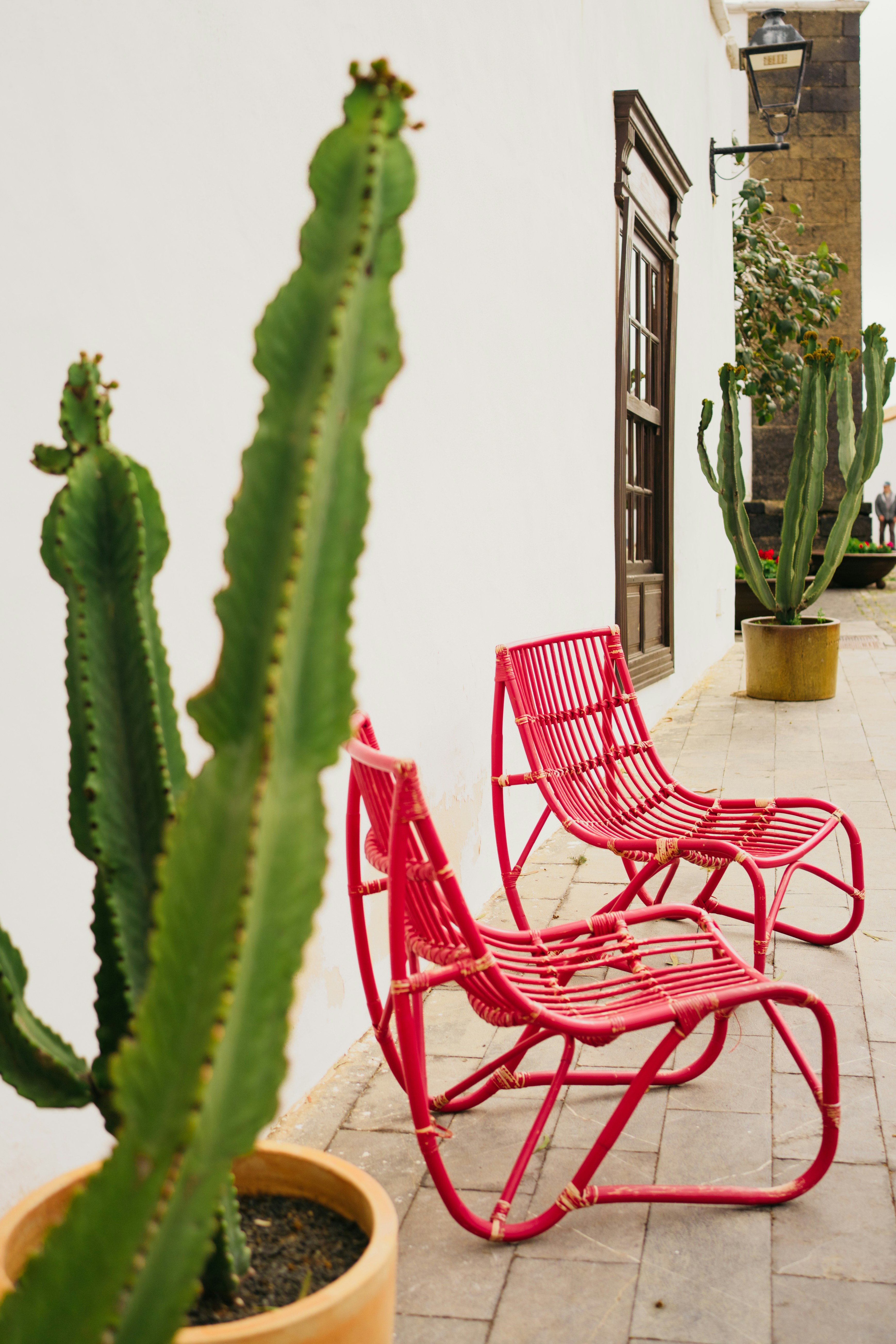 A couple of red chairs sitting next to a cactus photo – Free Lanzarote ...
