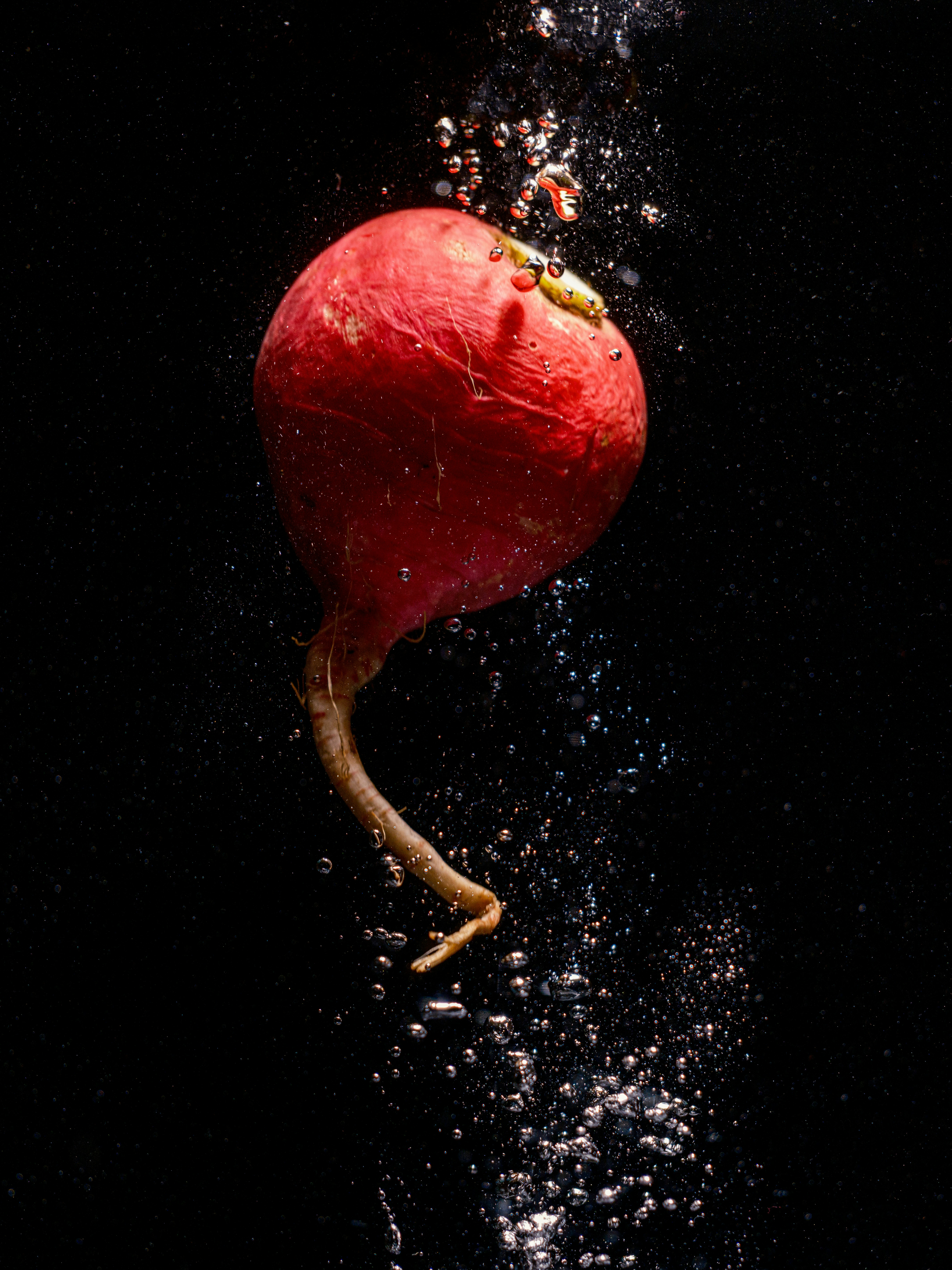Ruby Radish in a Velvet Bubblescape