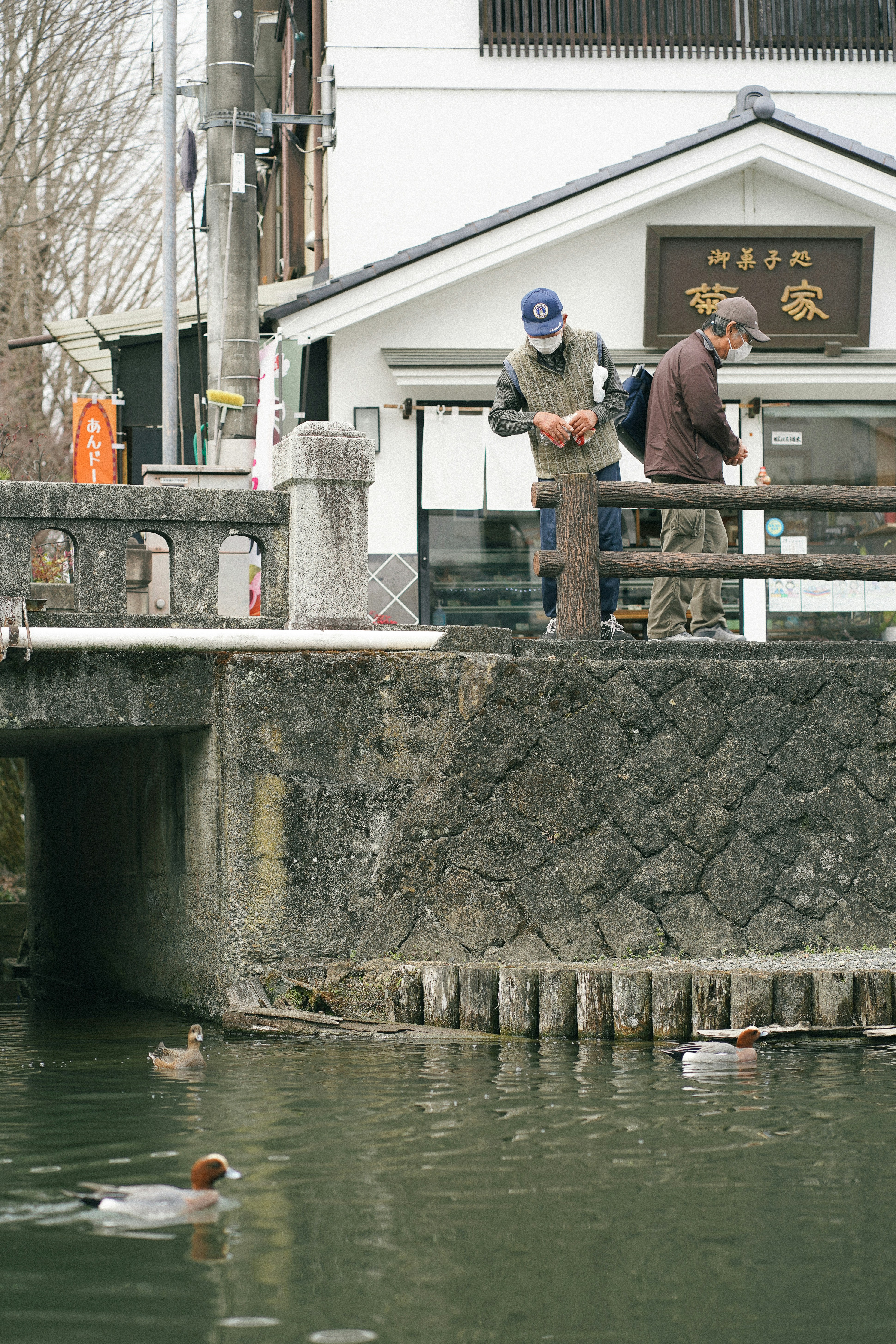 Grandfathers feeding a wild duck at riverside