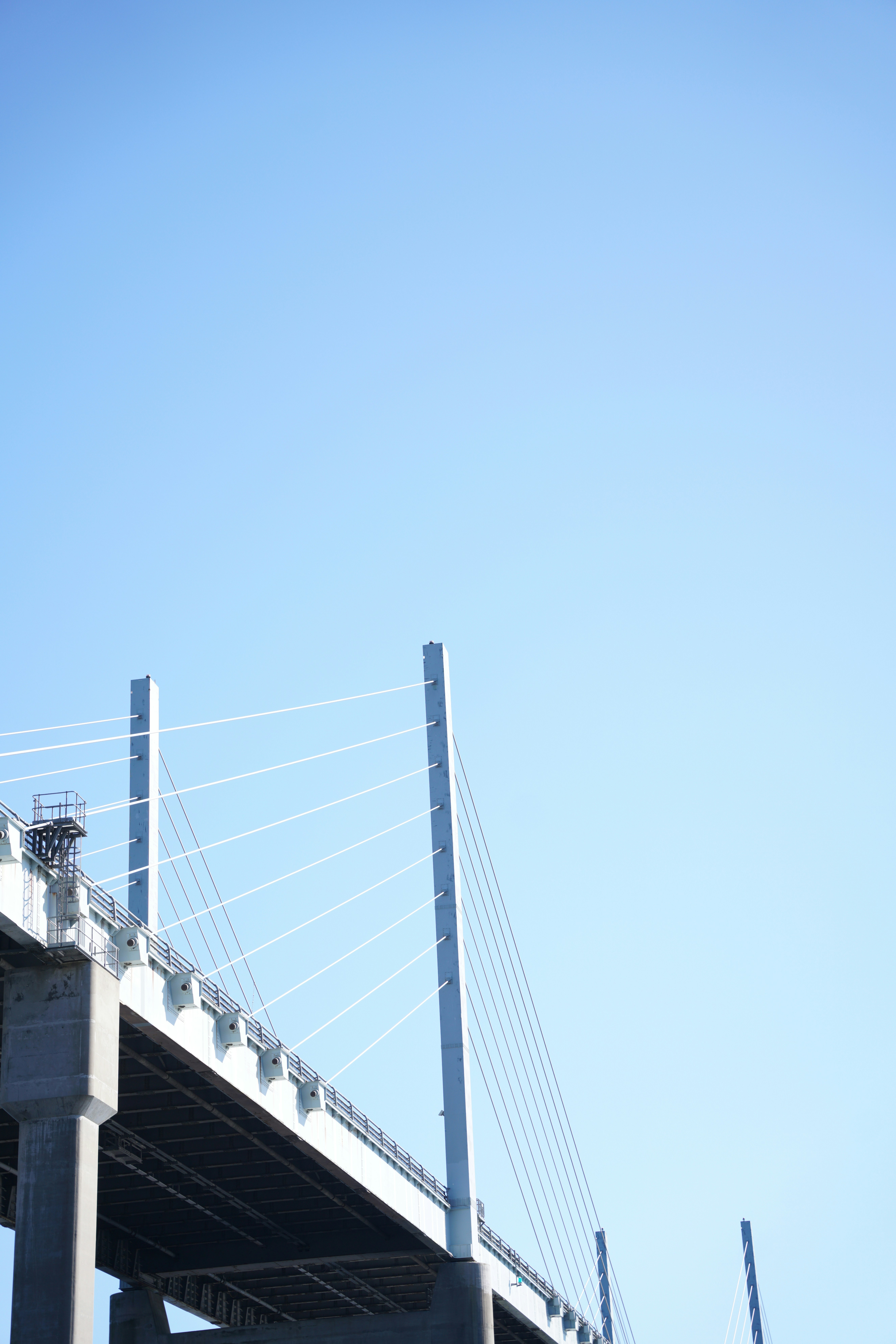 A modern bridge with striking cable supports against a clear blue sky, showcasing engineering prowess and design aesthetics.