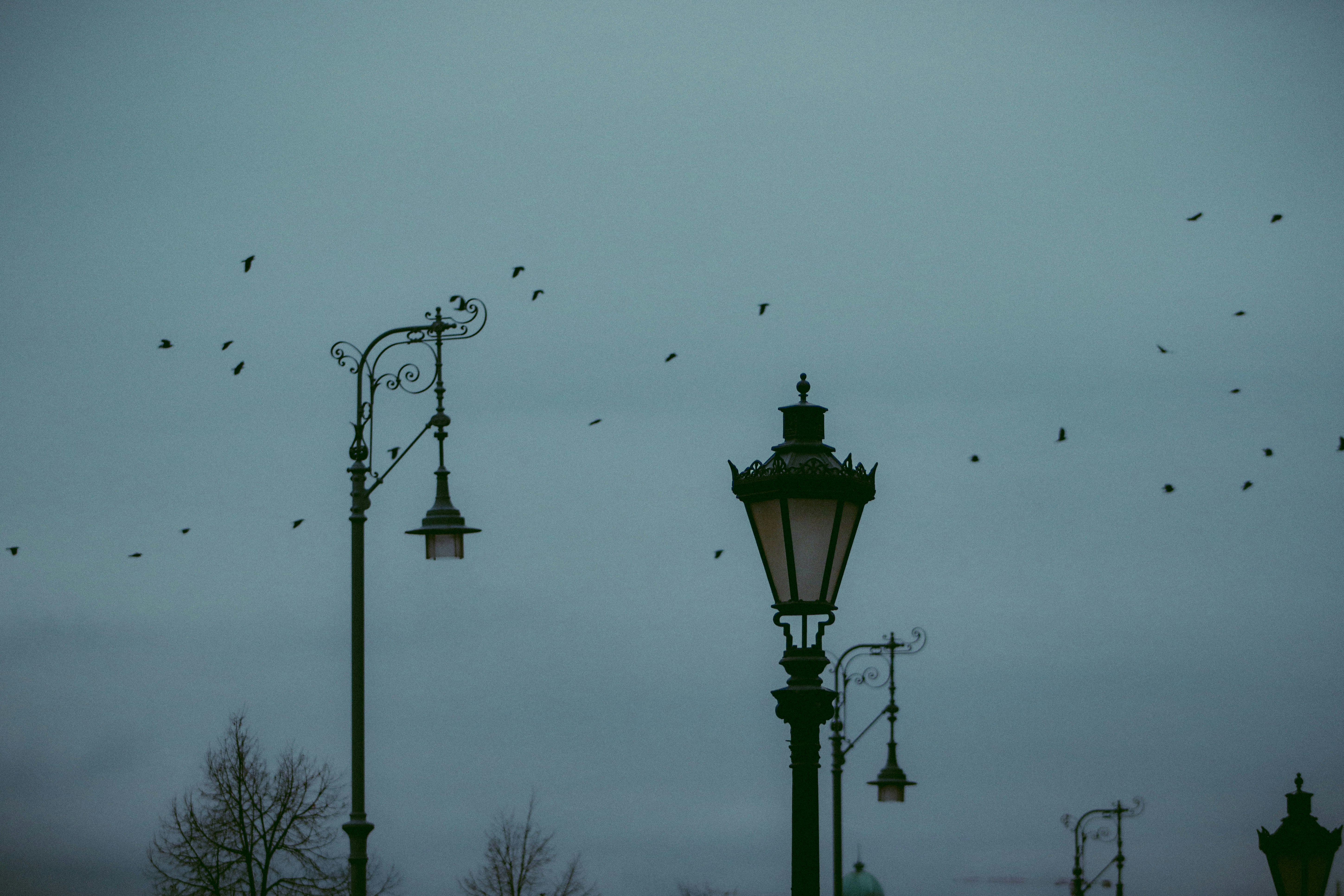 Lamplight and Flight: Ornate Poles Against a Dusk Sky