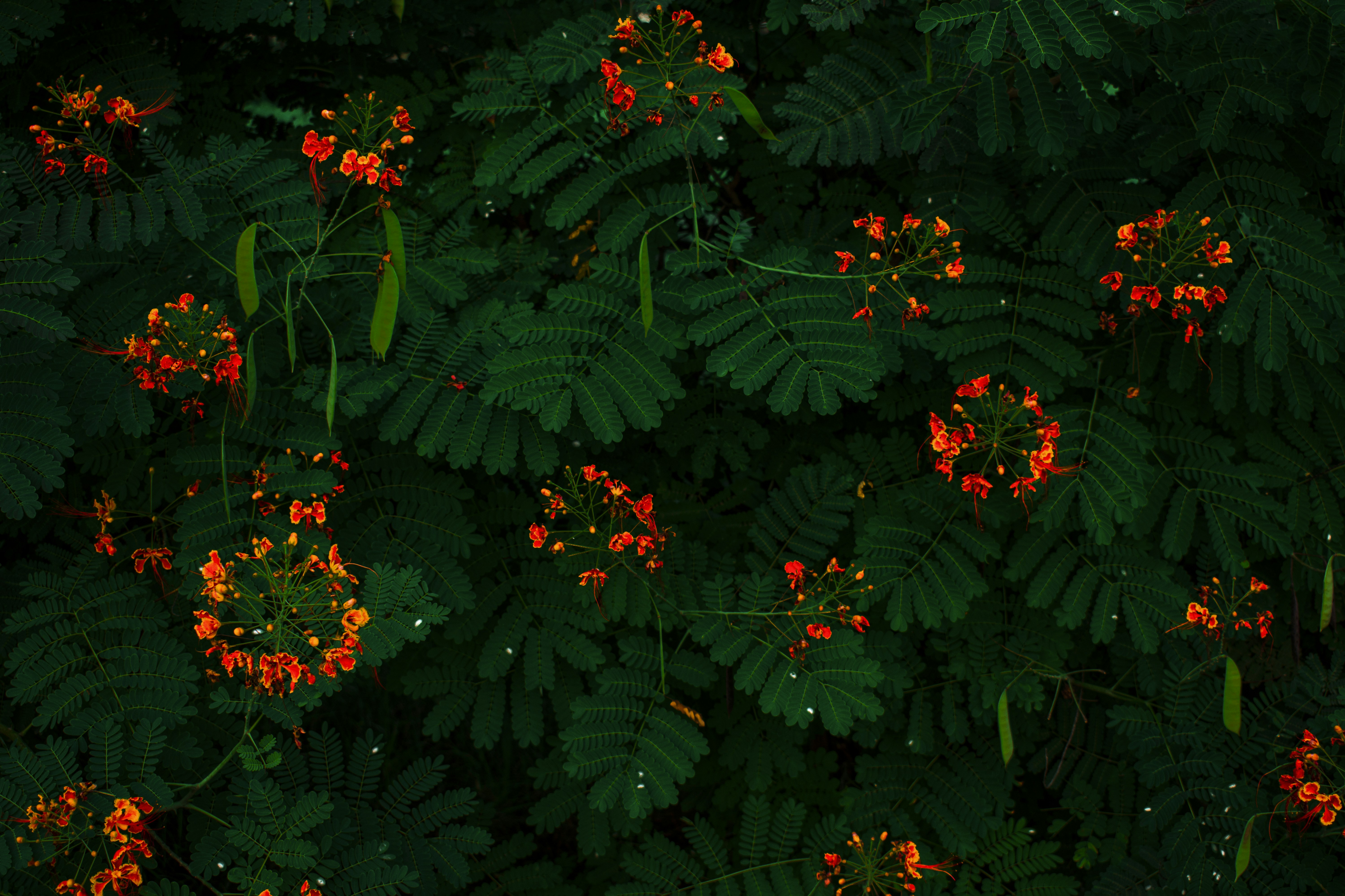 Photo by Harsh Patel with Nikon D7200