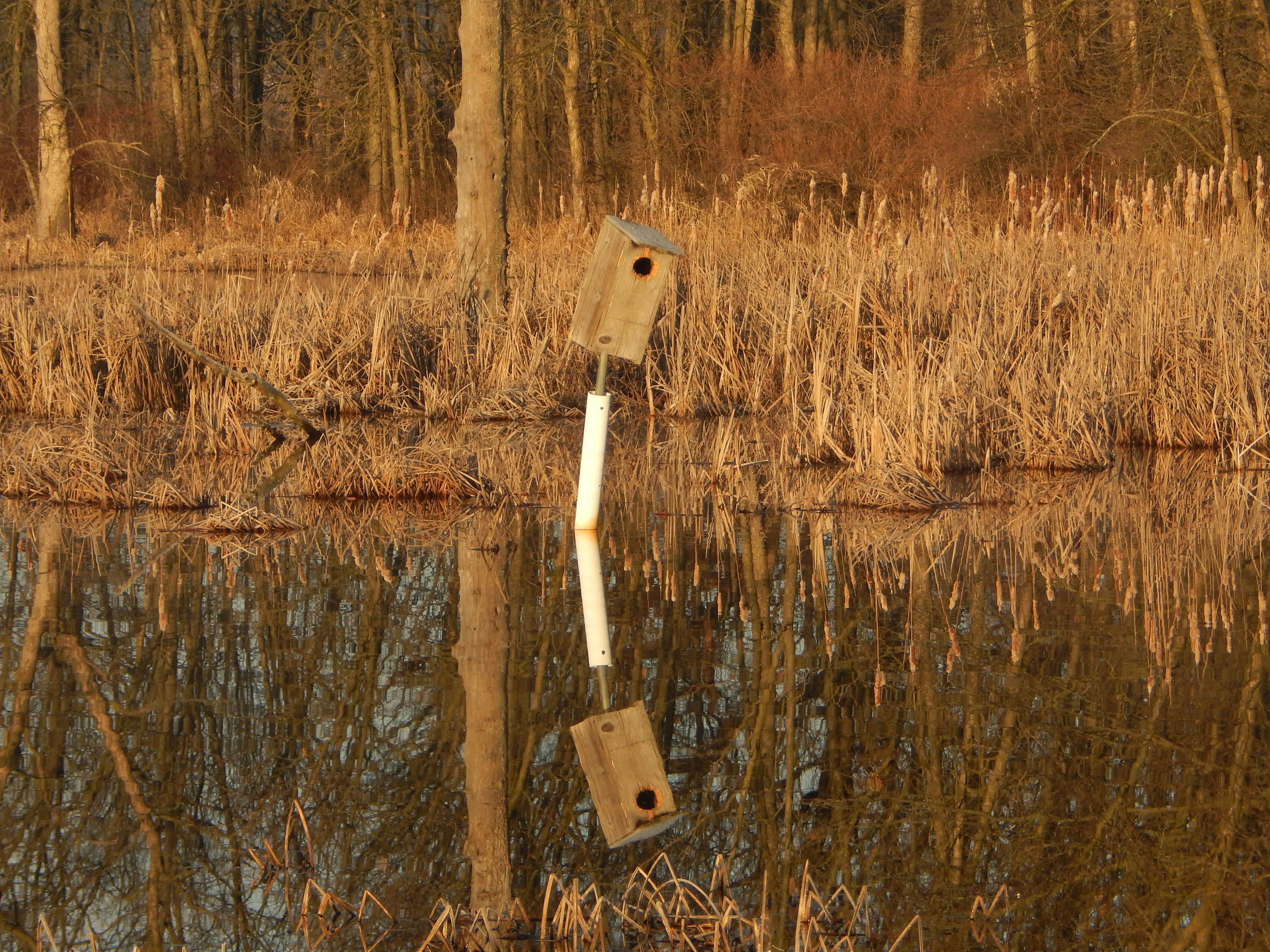 a bird house sitting in the middle of a pond