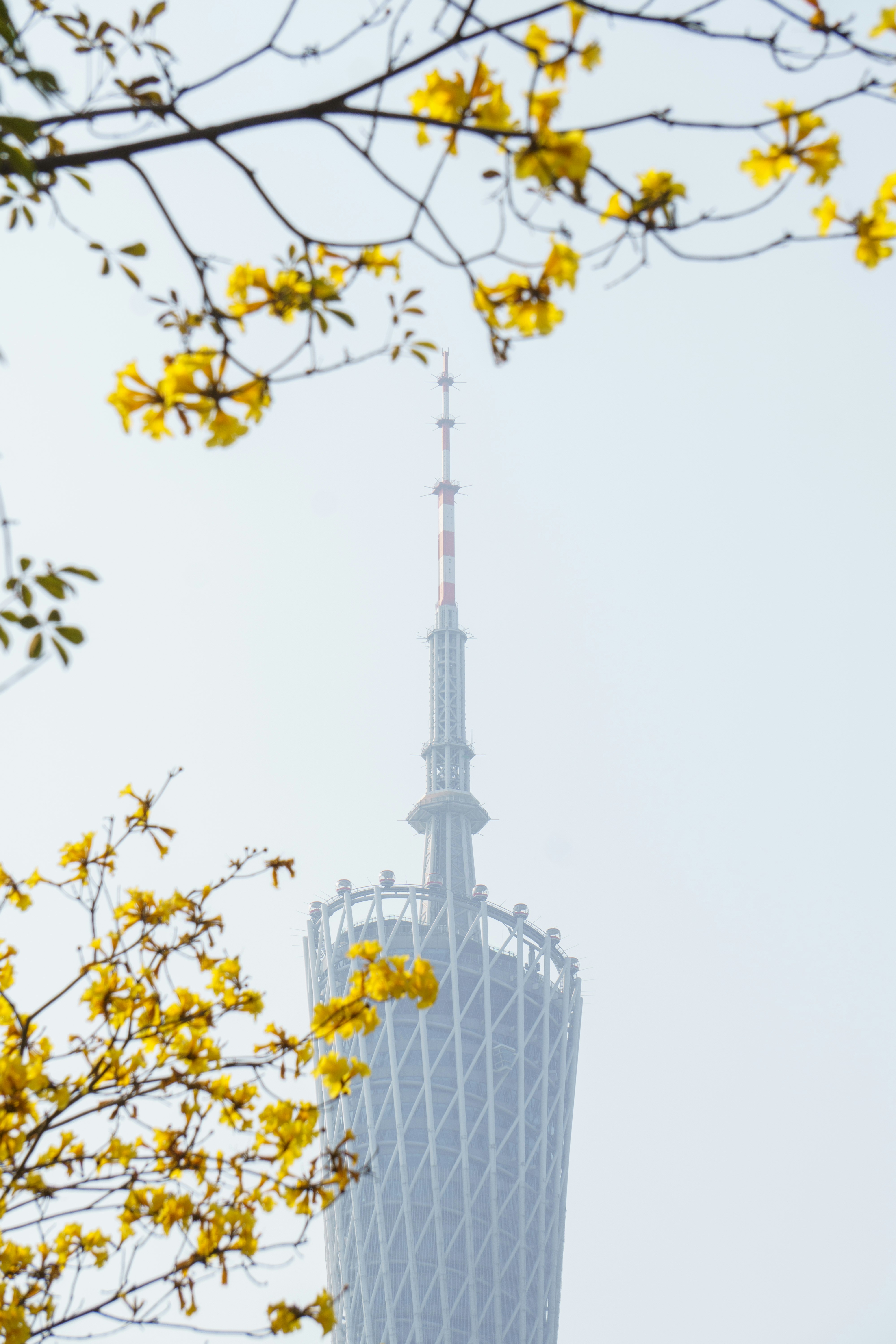A view of the top of a tall building photo – Free City Image on Unsplash