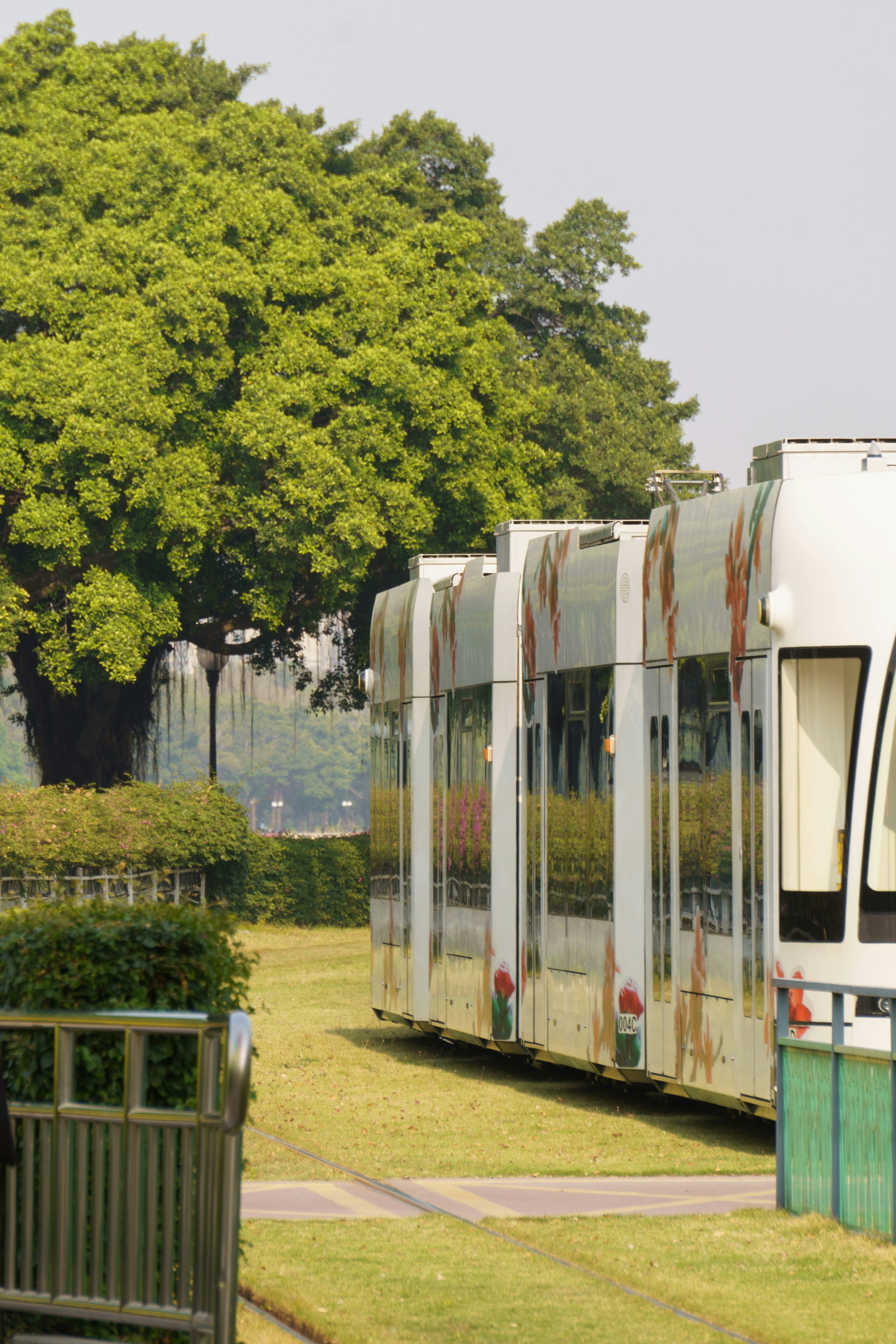 Chrome Carriages Quietly Glide Past a Park