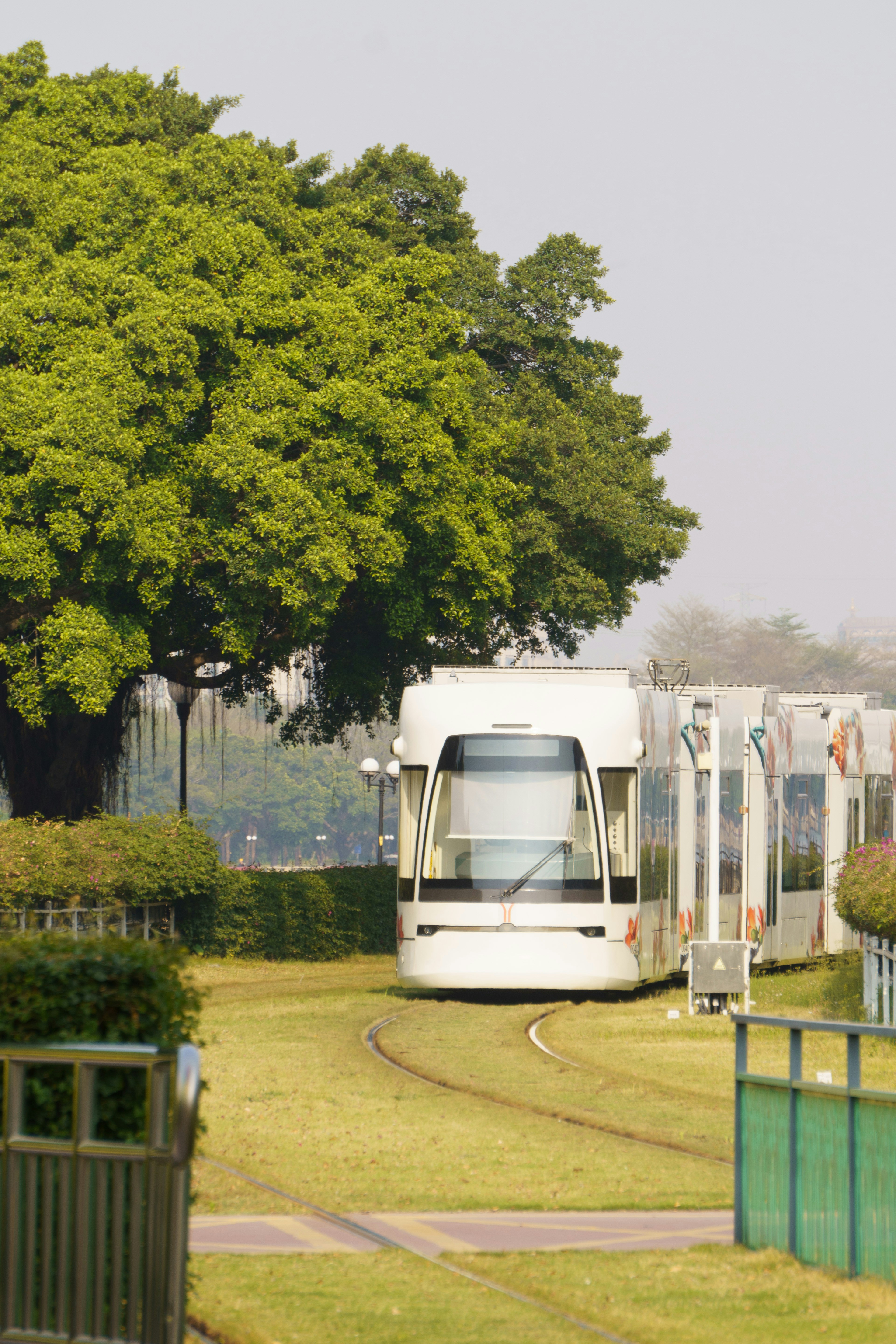 Tram Carving a Quiet Park Path