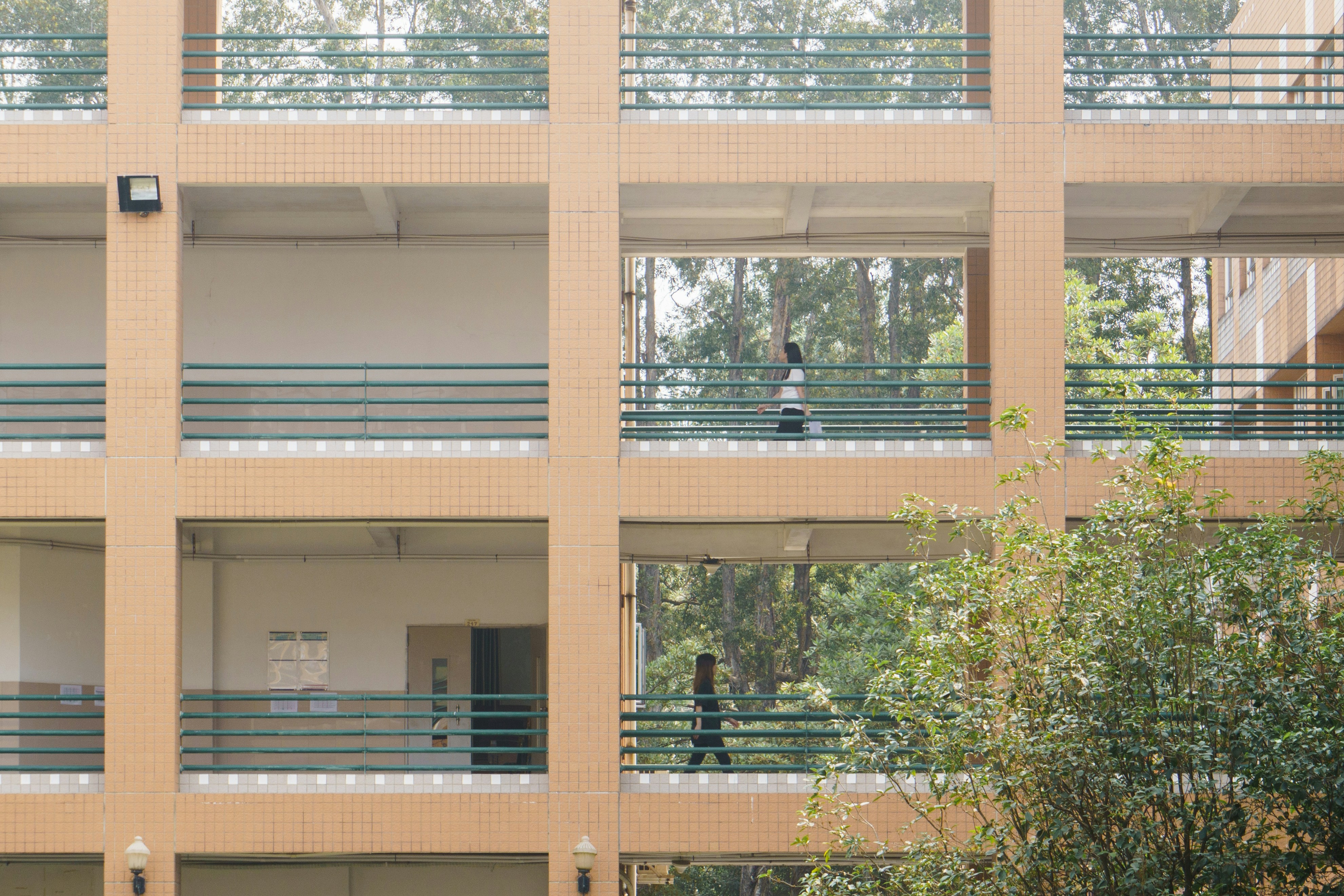 Teaching College Pictures | Download Free Images on Unsplash