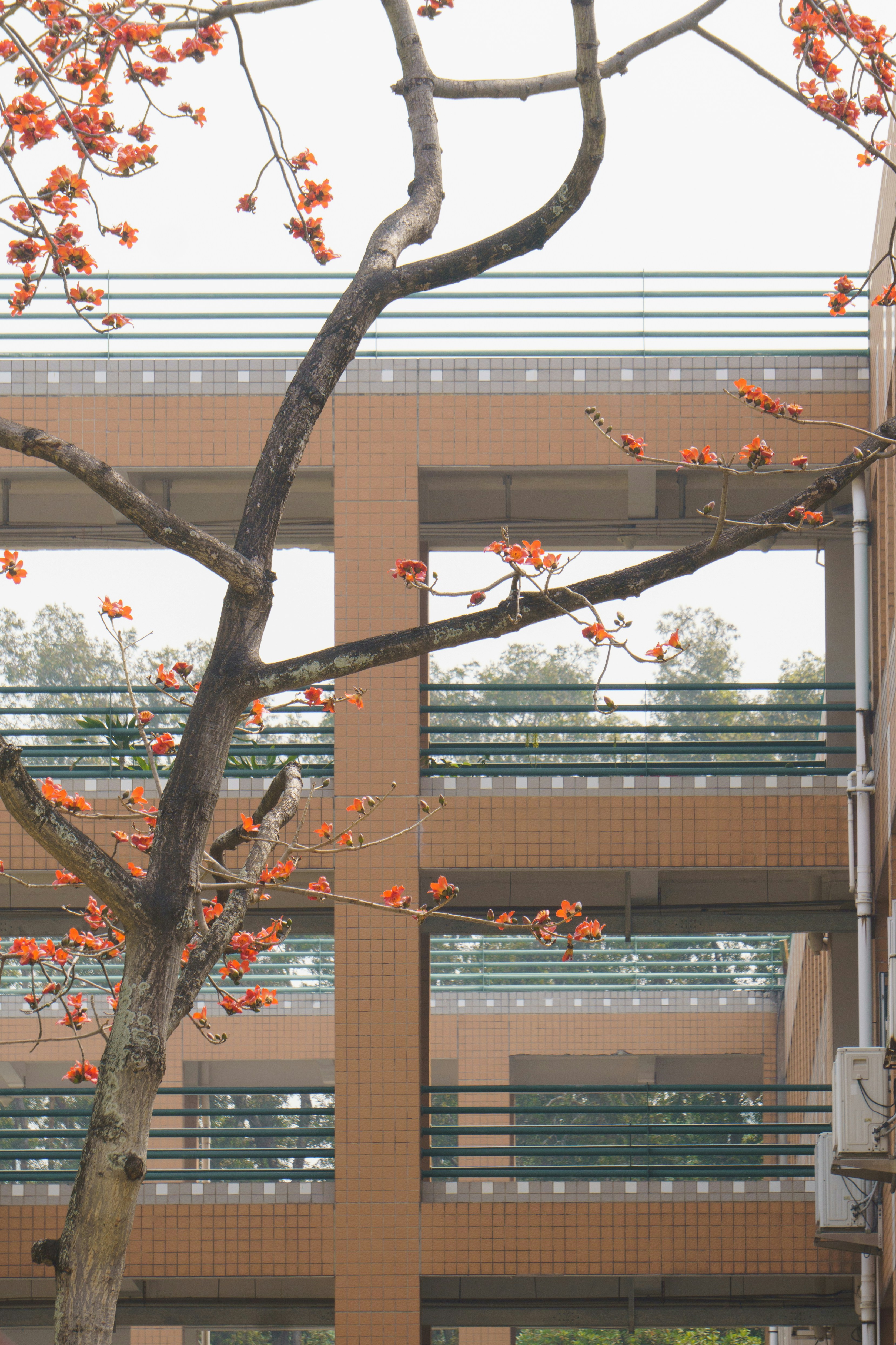 Photo by Shawn Rain with Sony Alpha 6400