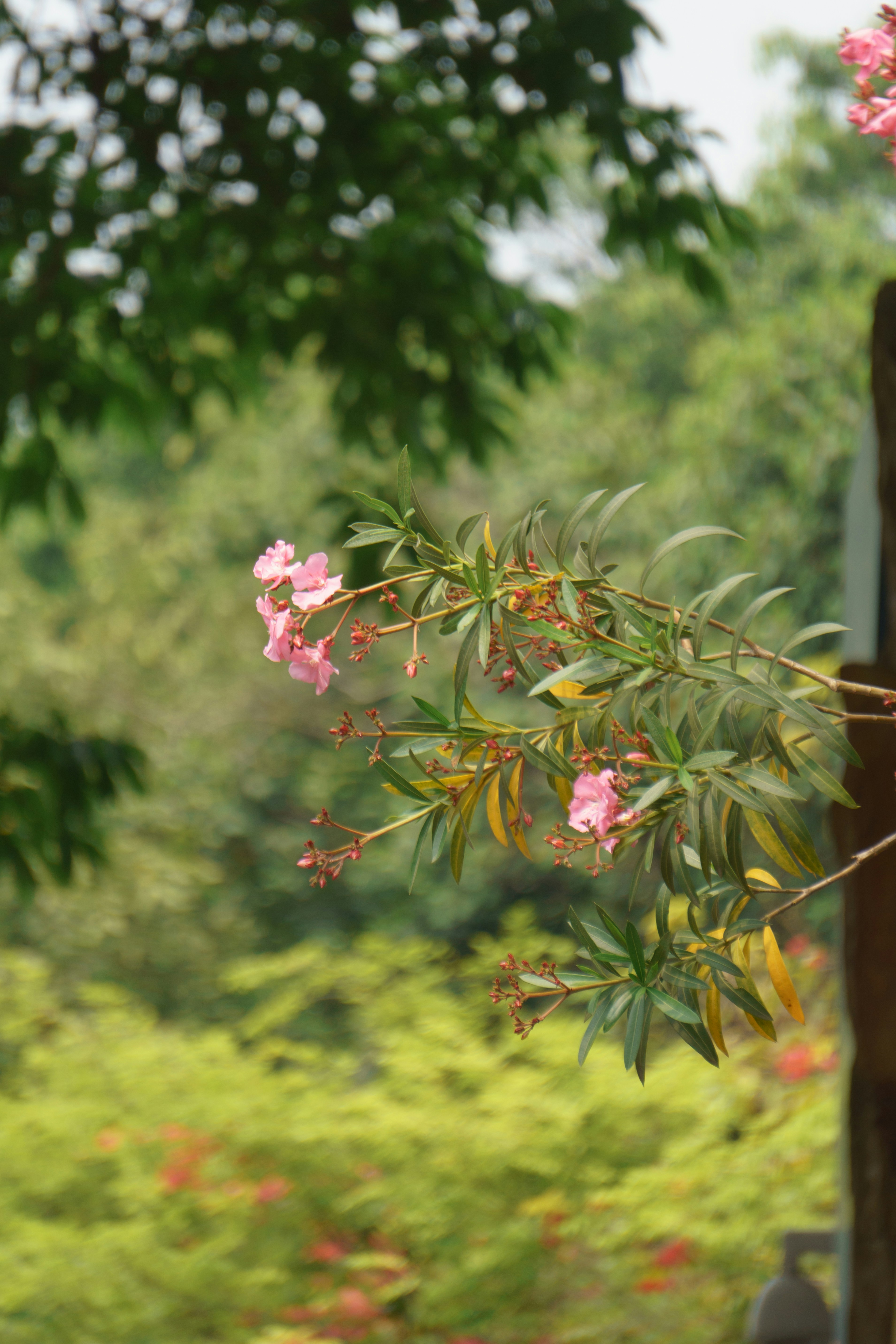 Photo by Shawn Rain with Sony Alpha 6400