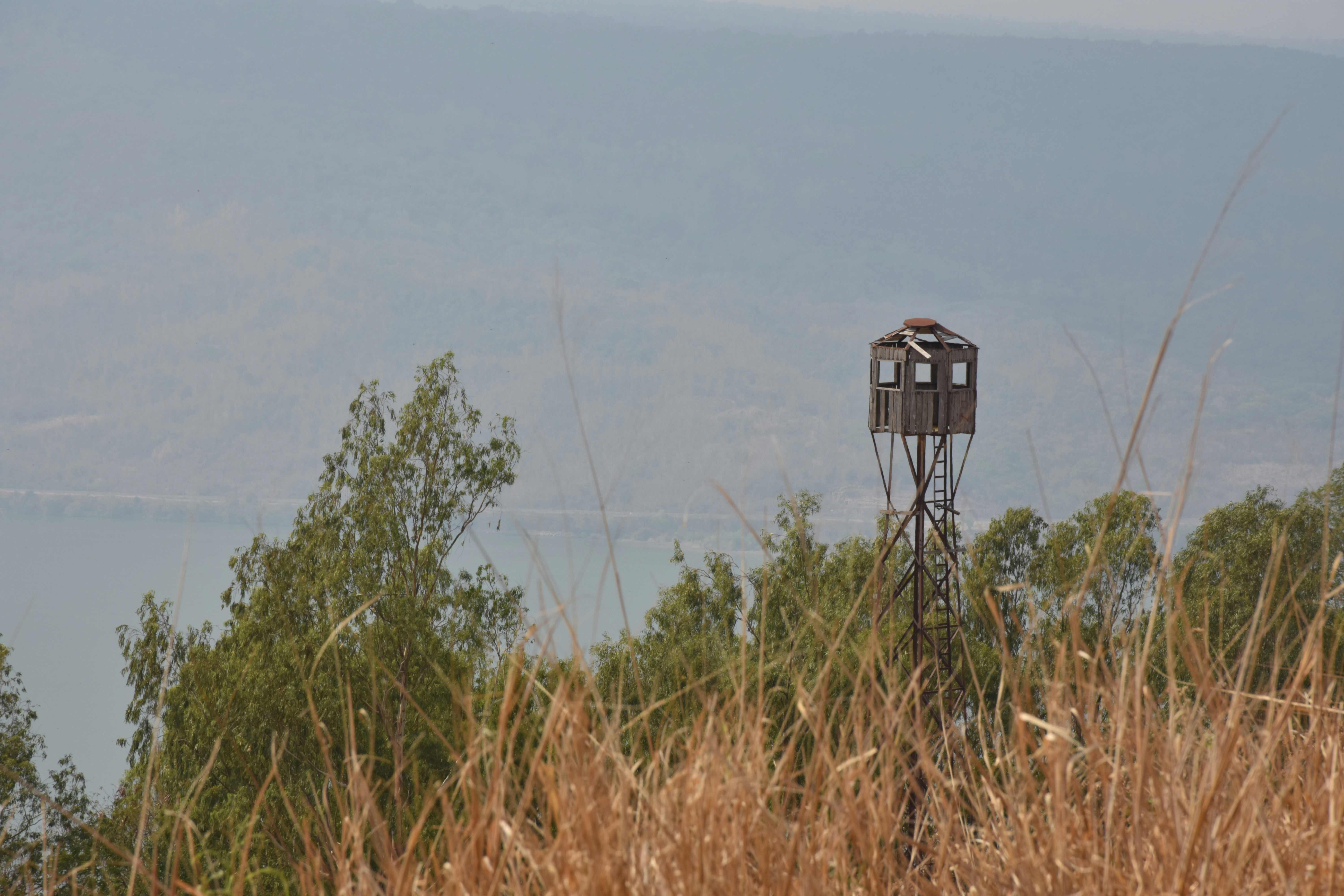 Watchtower over Golden Grassland