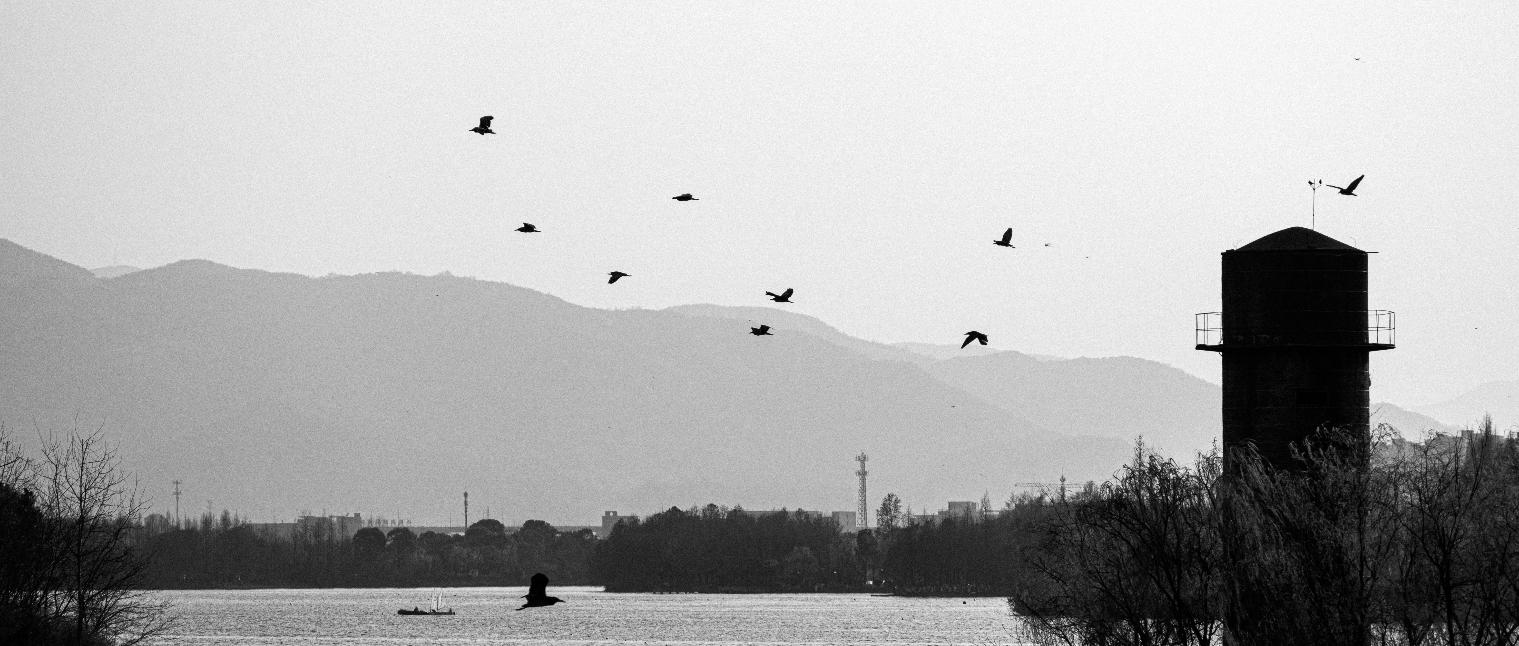 Monochrome Dusk: A lone water tower anchors the riverfront as birds cross the sky