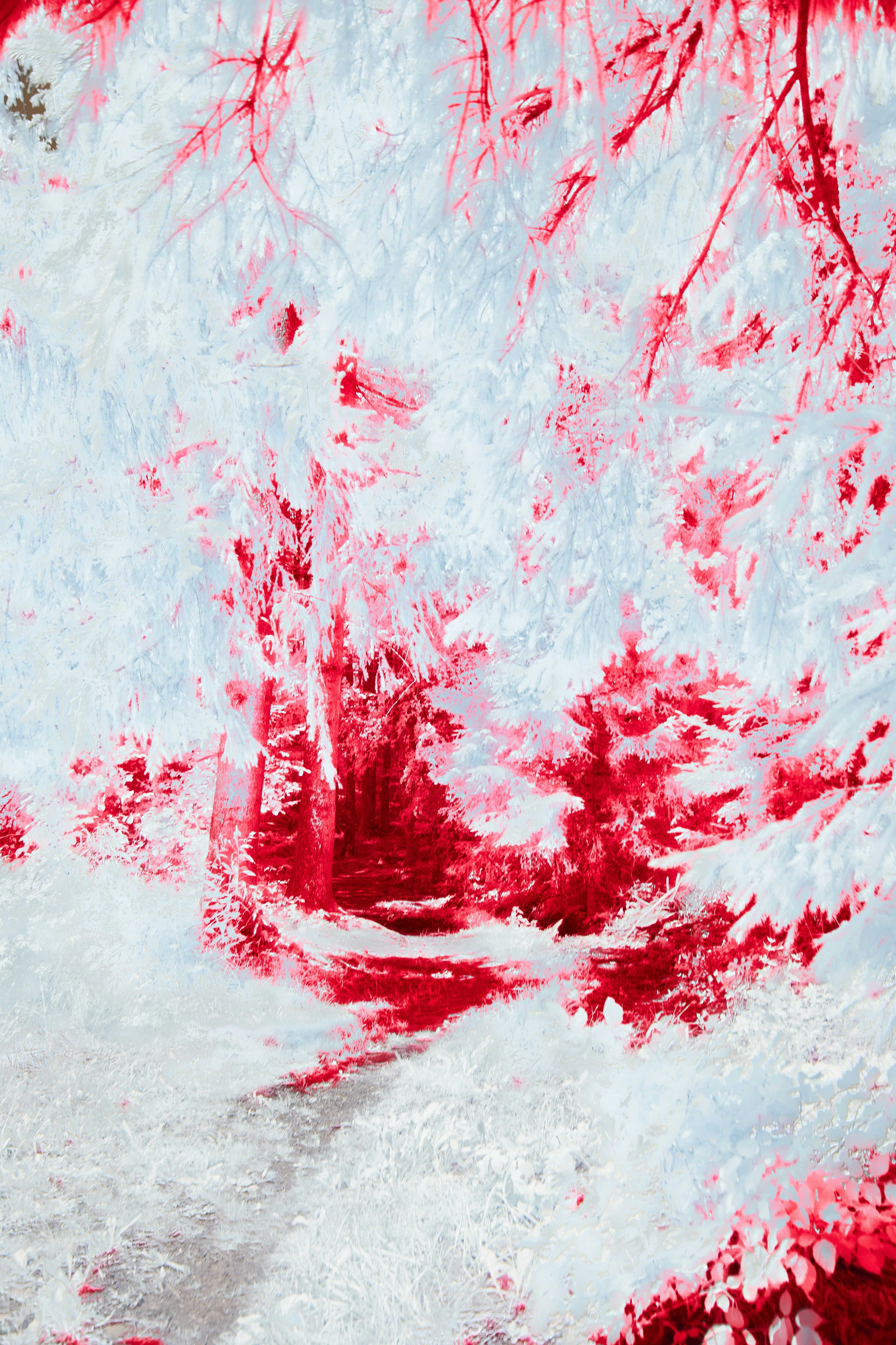 Blood Clouds Wallpaper Pictures | Download Free Images on Unsplash