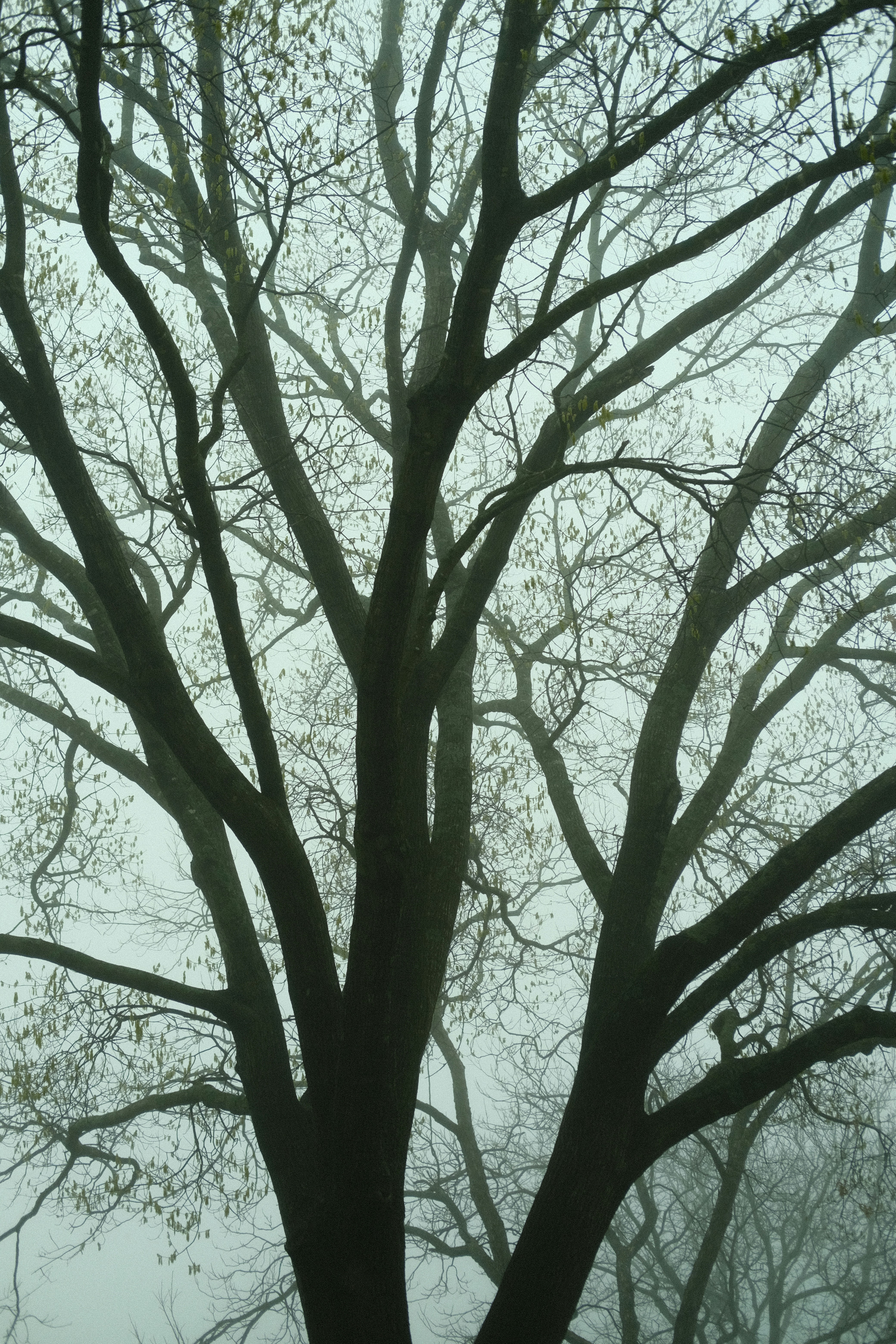 Photo by Nathan Franklin with Fujifilm X-T3